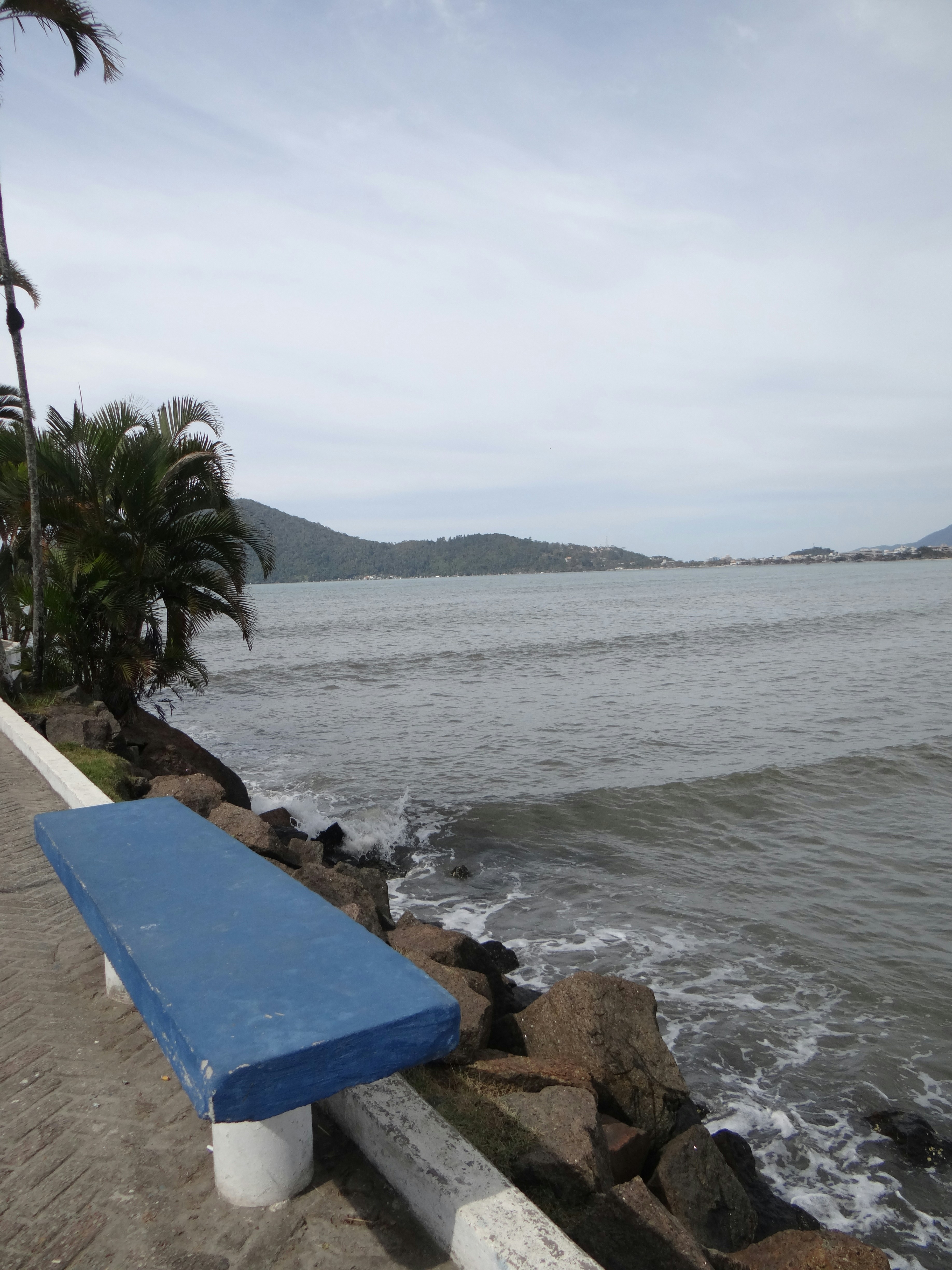 Serenity by the Shoreline