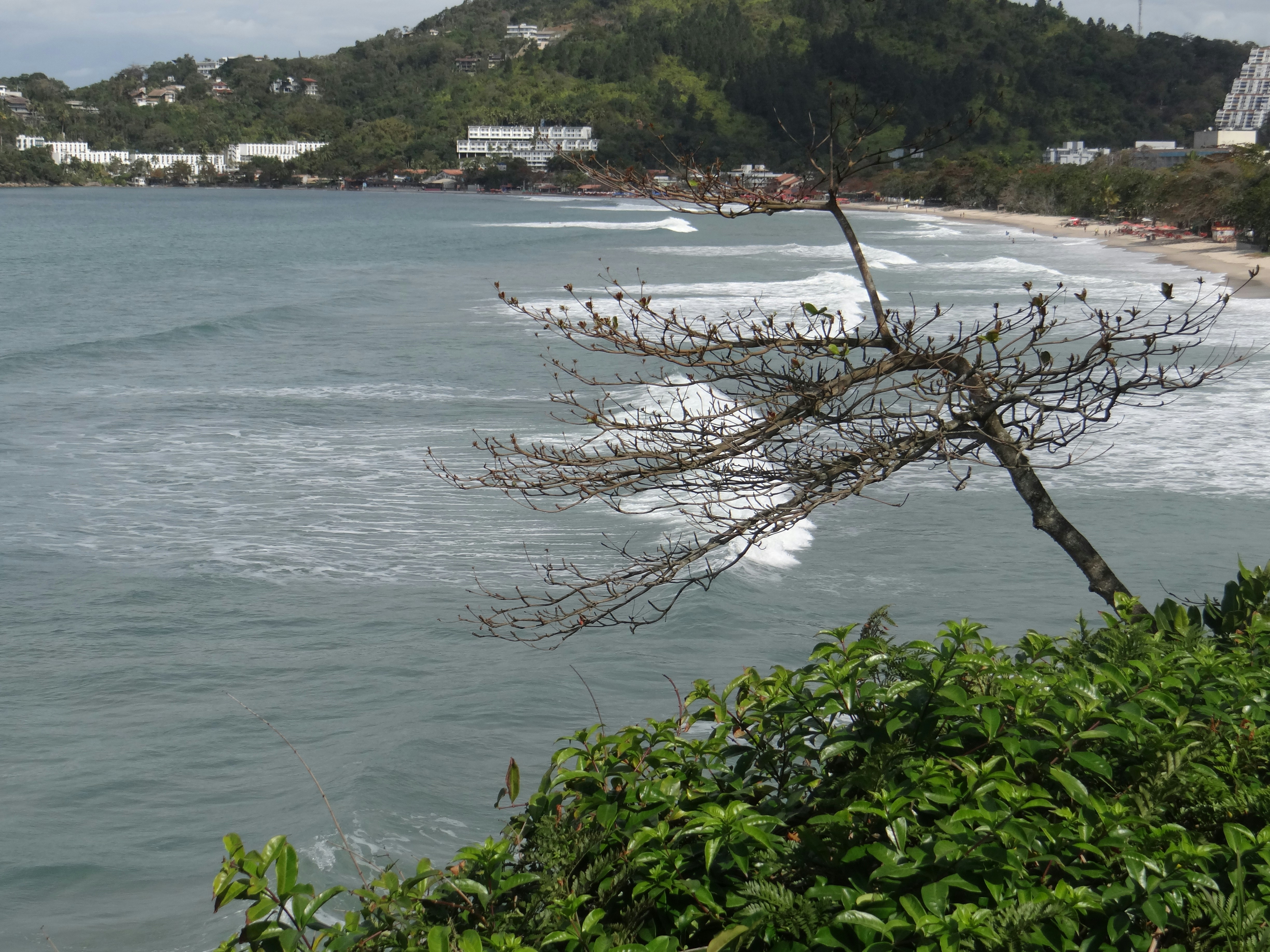 Whispers of the Shoreline