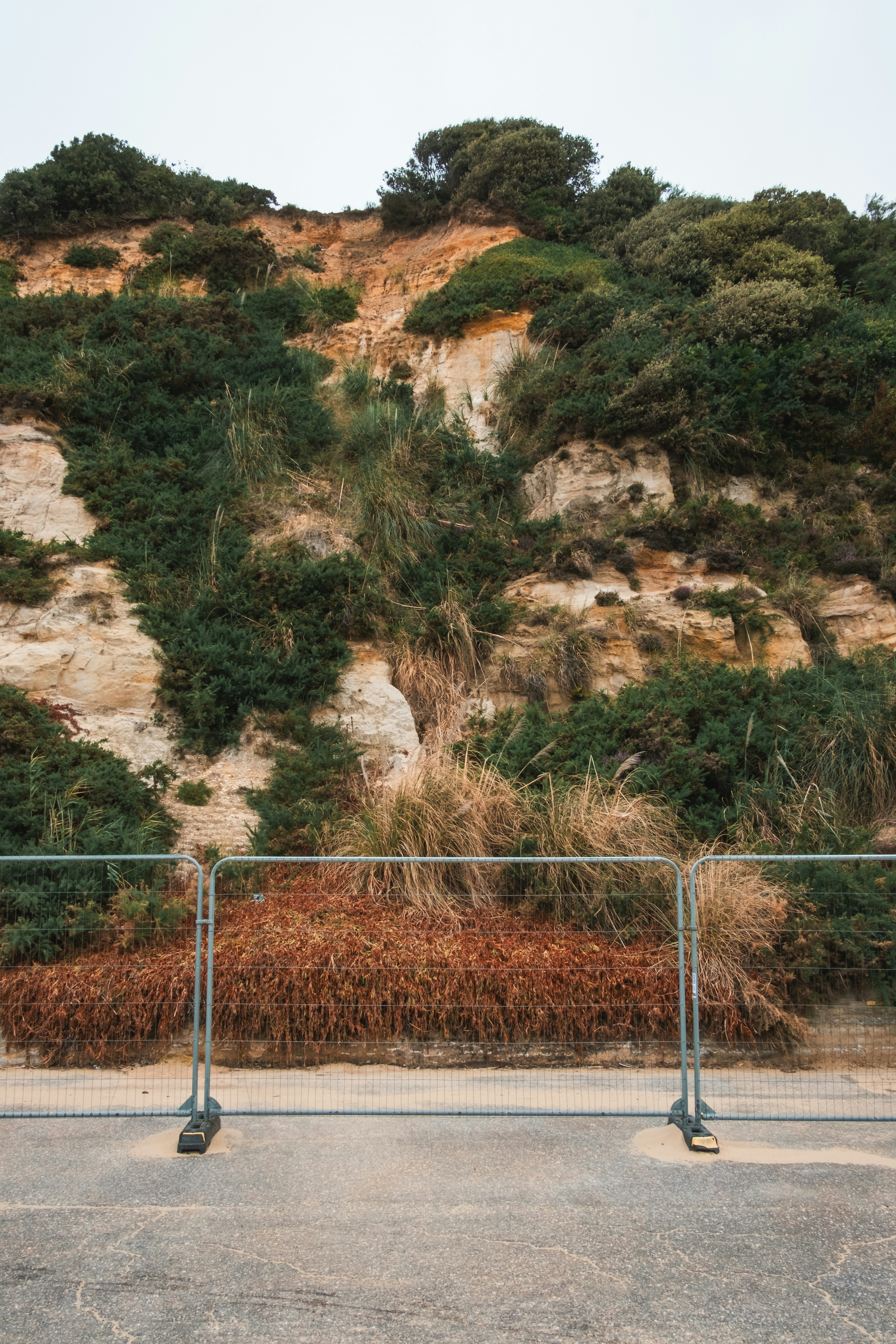Fence in front of a rocky, vegetated hillside