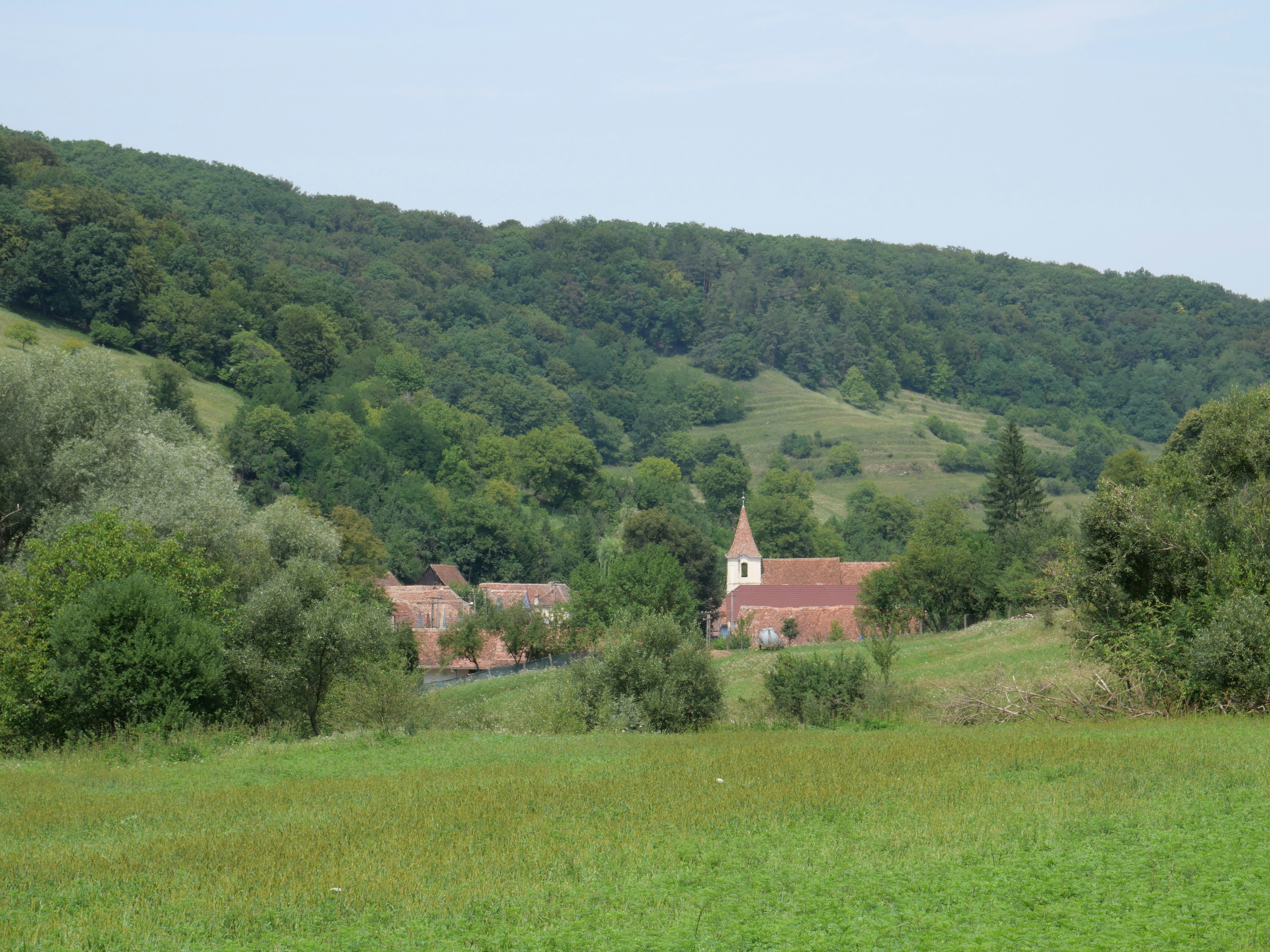 Charming village nestled in lush greenery, featuring a quaint church steeple and rustic buildings against a backdrop of rolling hills.