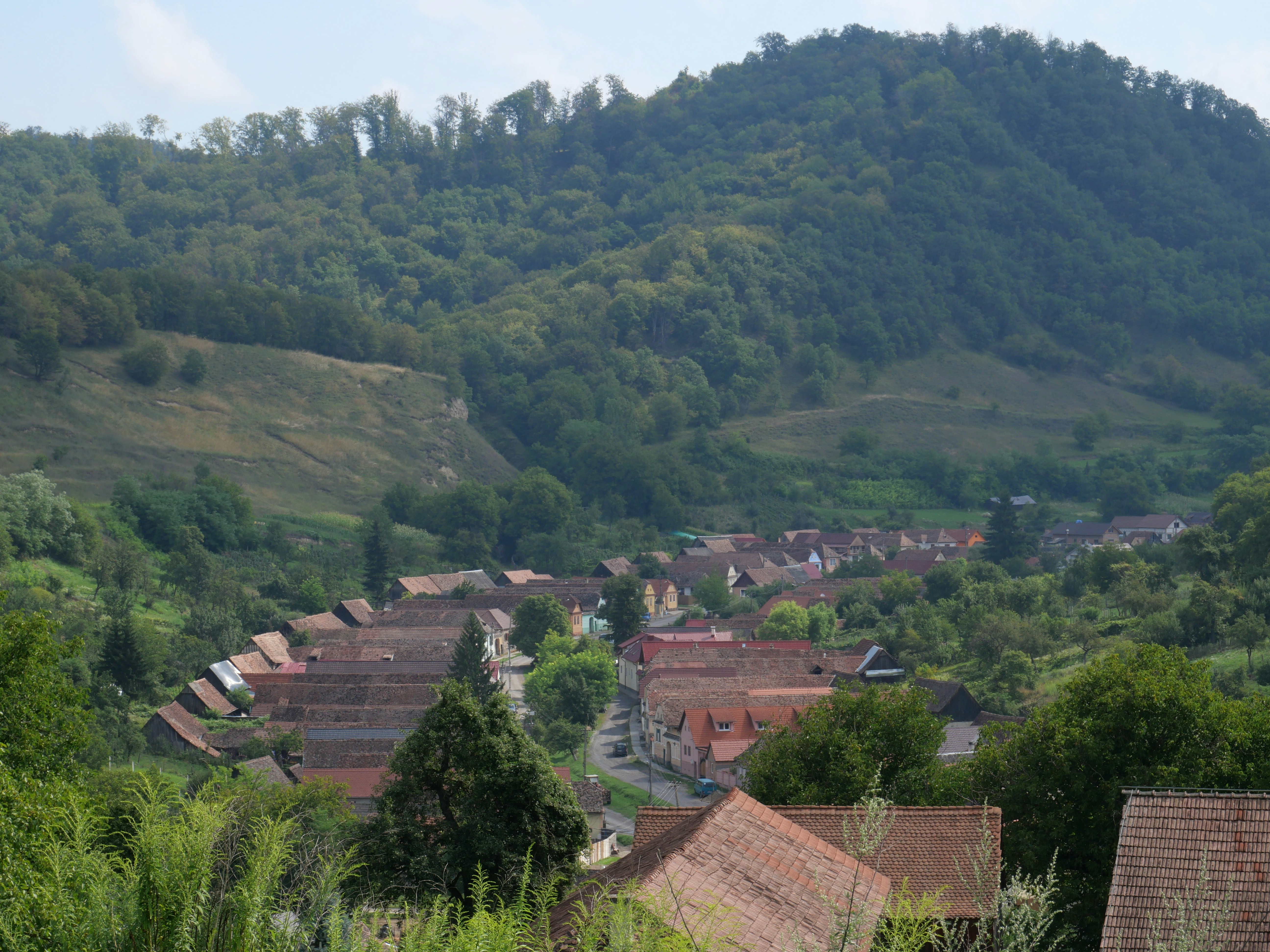An elevated view of a rural village in Criș, Romania, showcasing a cluster of traditional houses with red roofs nestled in a green valley. The image captures the serene, rustic charm of the Transylvanian countryside. | Village nestled in a lush green valley with hills.