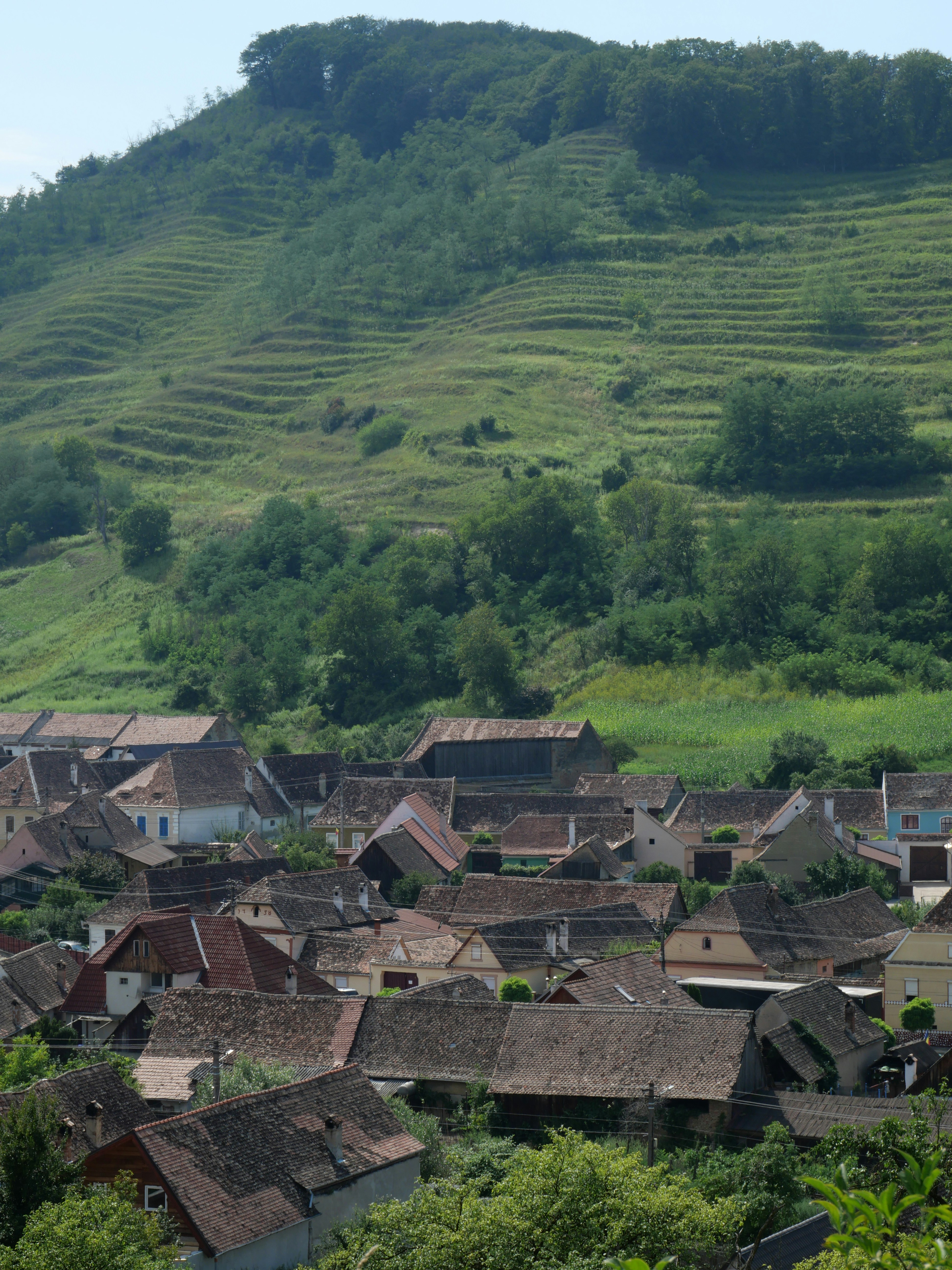 Whispers of the Hills: A Village Embraced by Nature