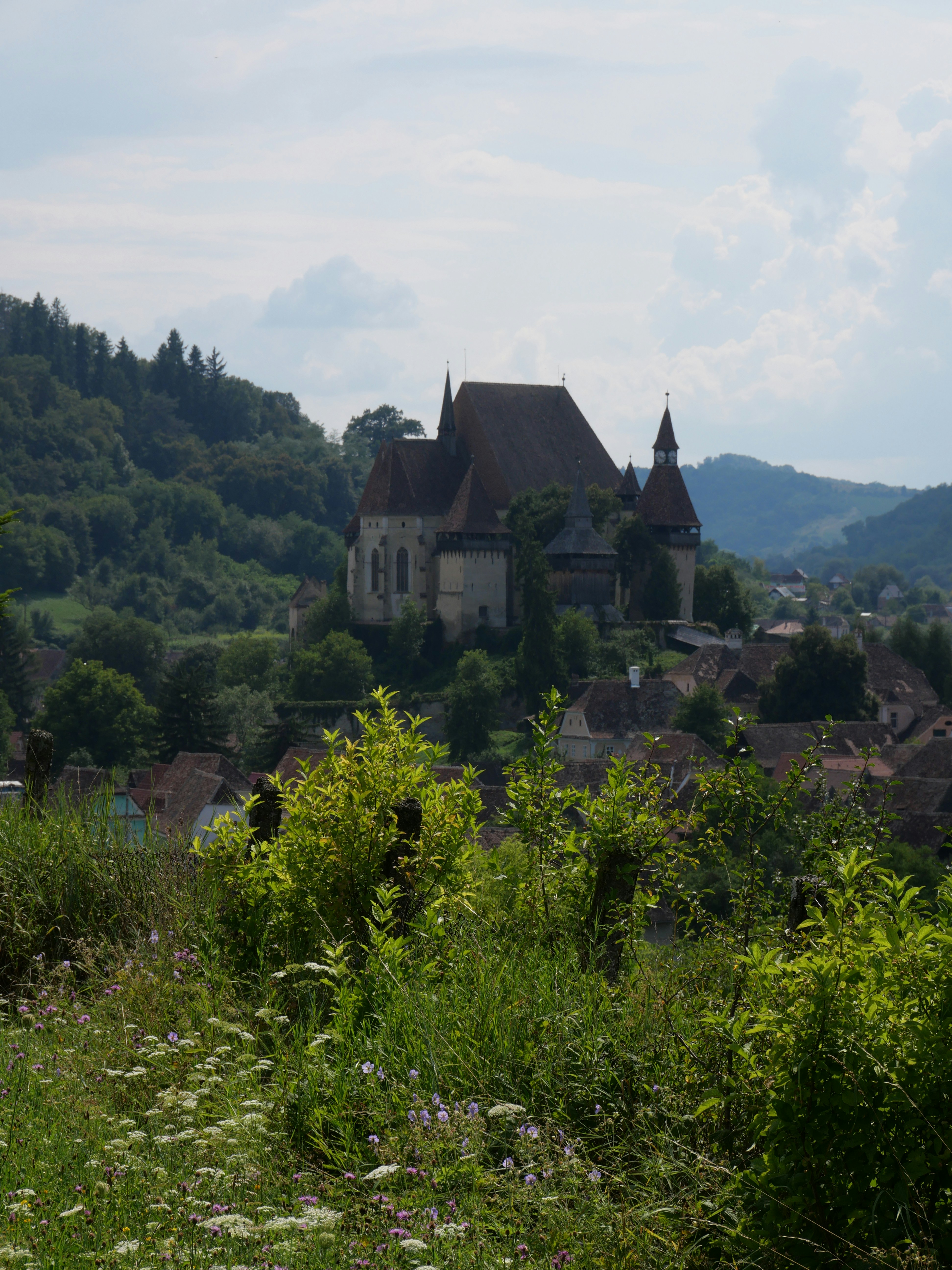 A beautiful, long-distance view of the fortified church in Biertan, Romania, partially obscured by lush green foliage in the foreground. The image highlights the castle-like structure of the church complex rising above the village rooftops against a backdrop of forested hills. | Fortified church on a hill surrounded by trees