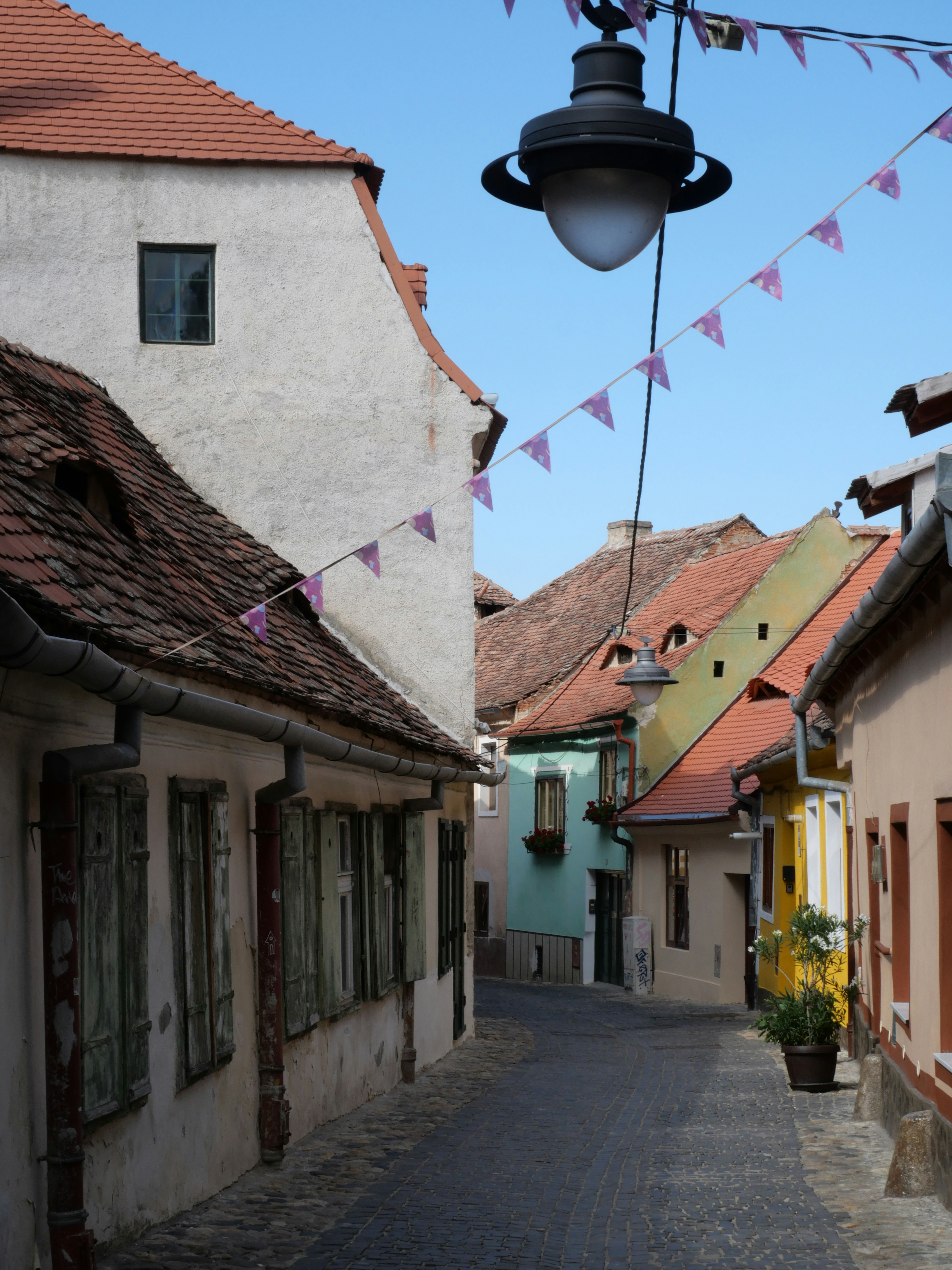 Charming Alleyway of Colorful Facades