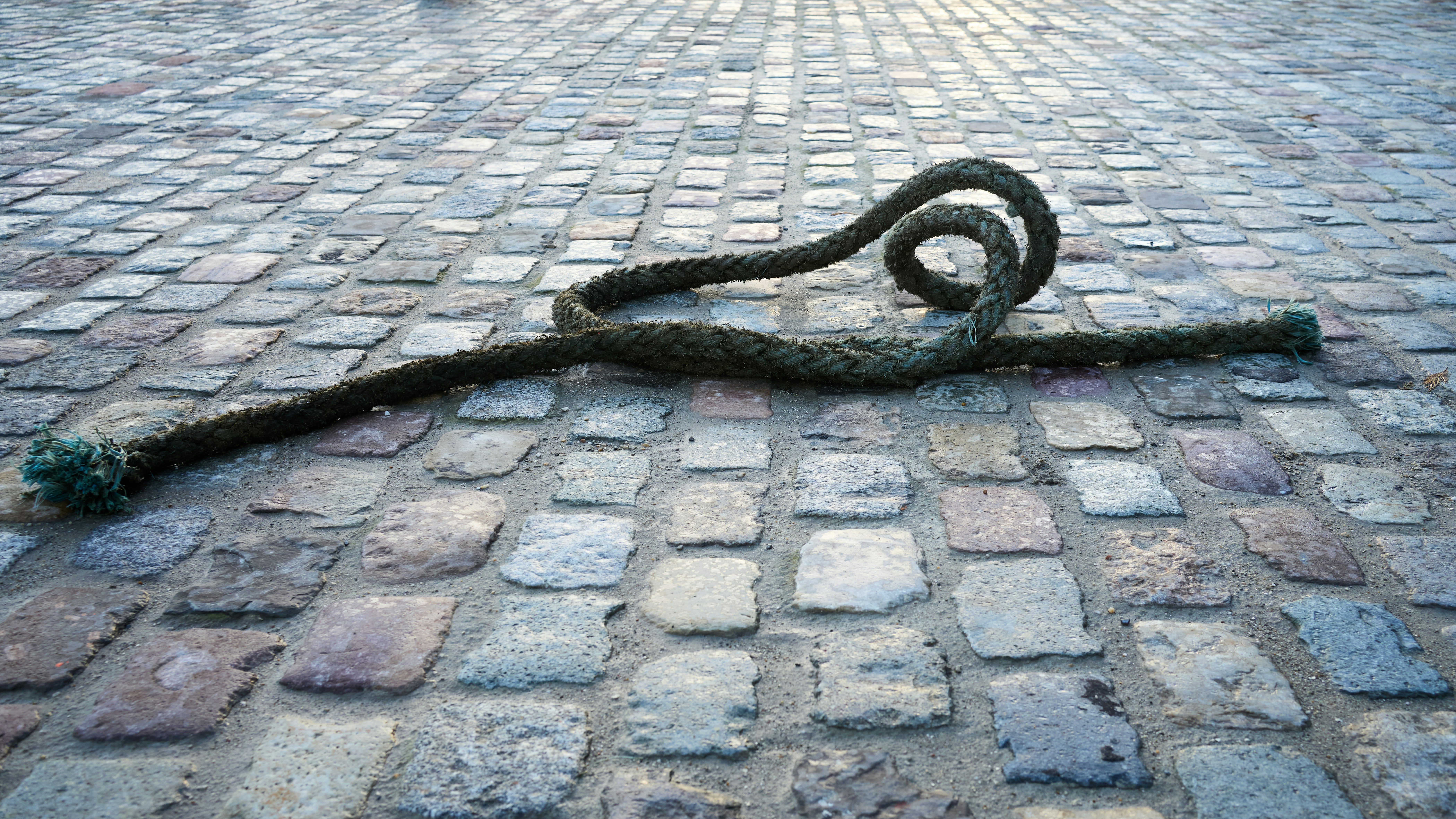 Tangled Memories: The Story of a Forgotten Rope