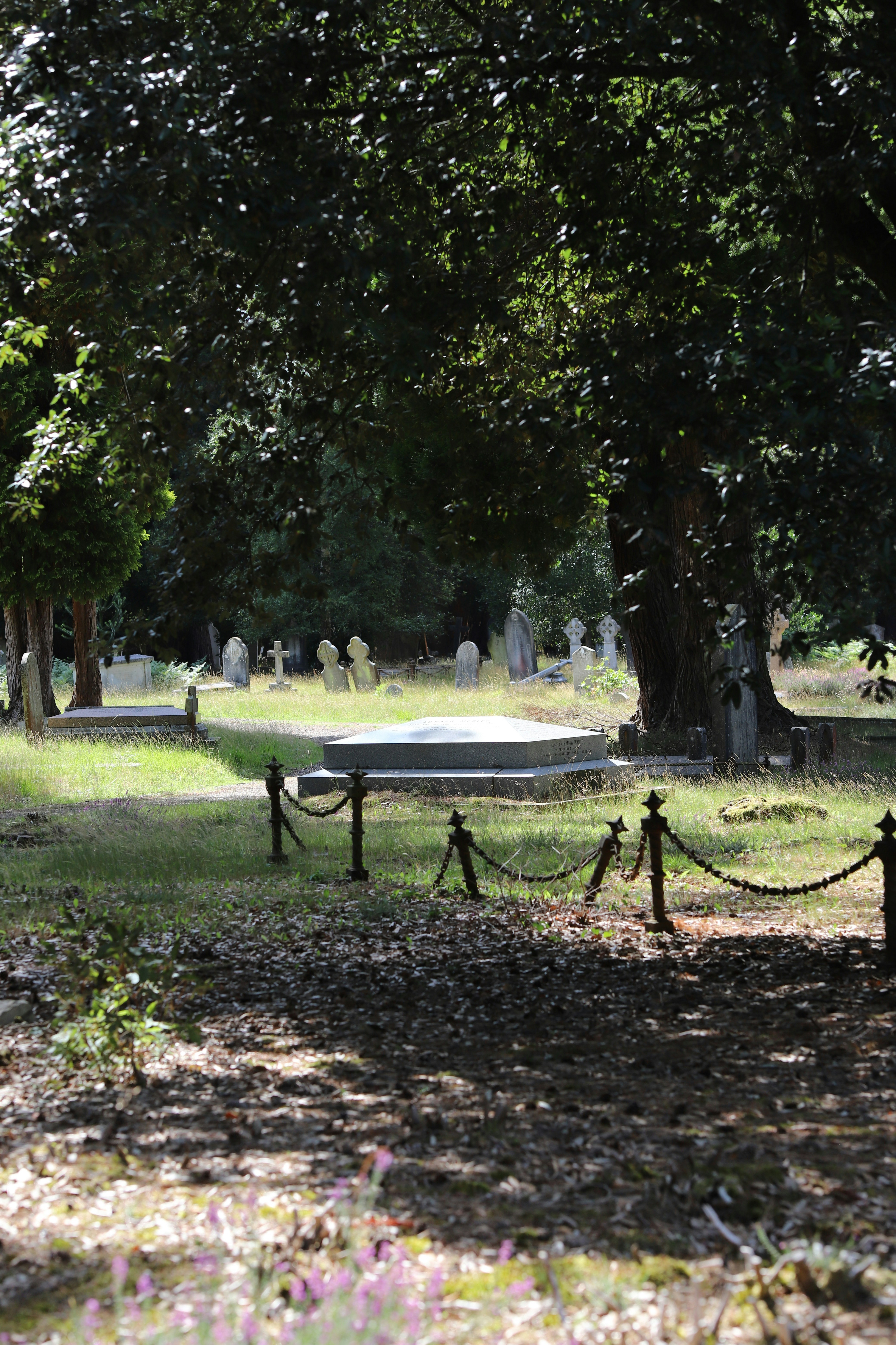 Whispers of the Past: A Serene Cemetery Scene
