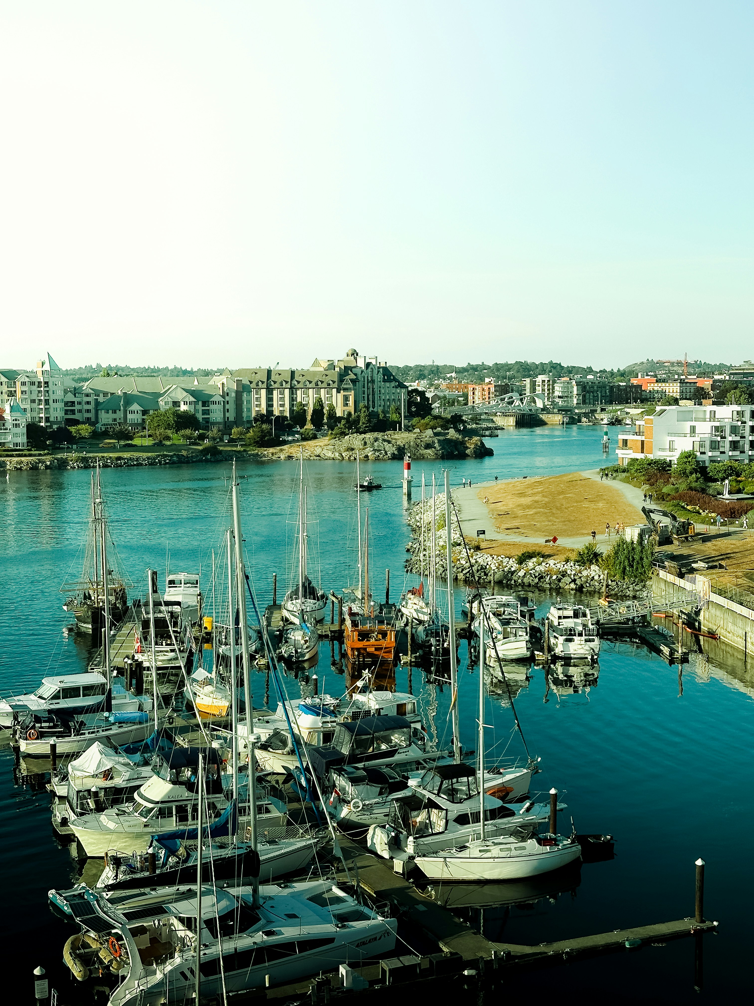 Sailboats docked in a harbor with a city skyline.