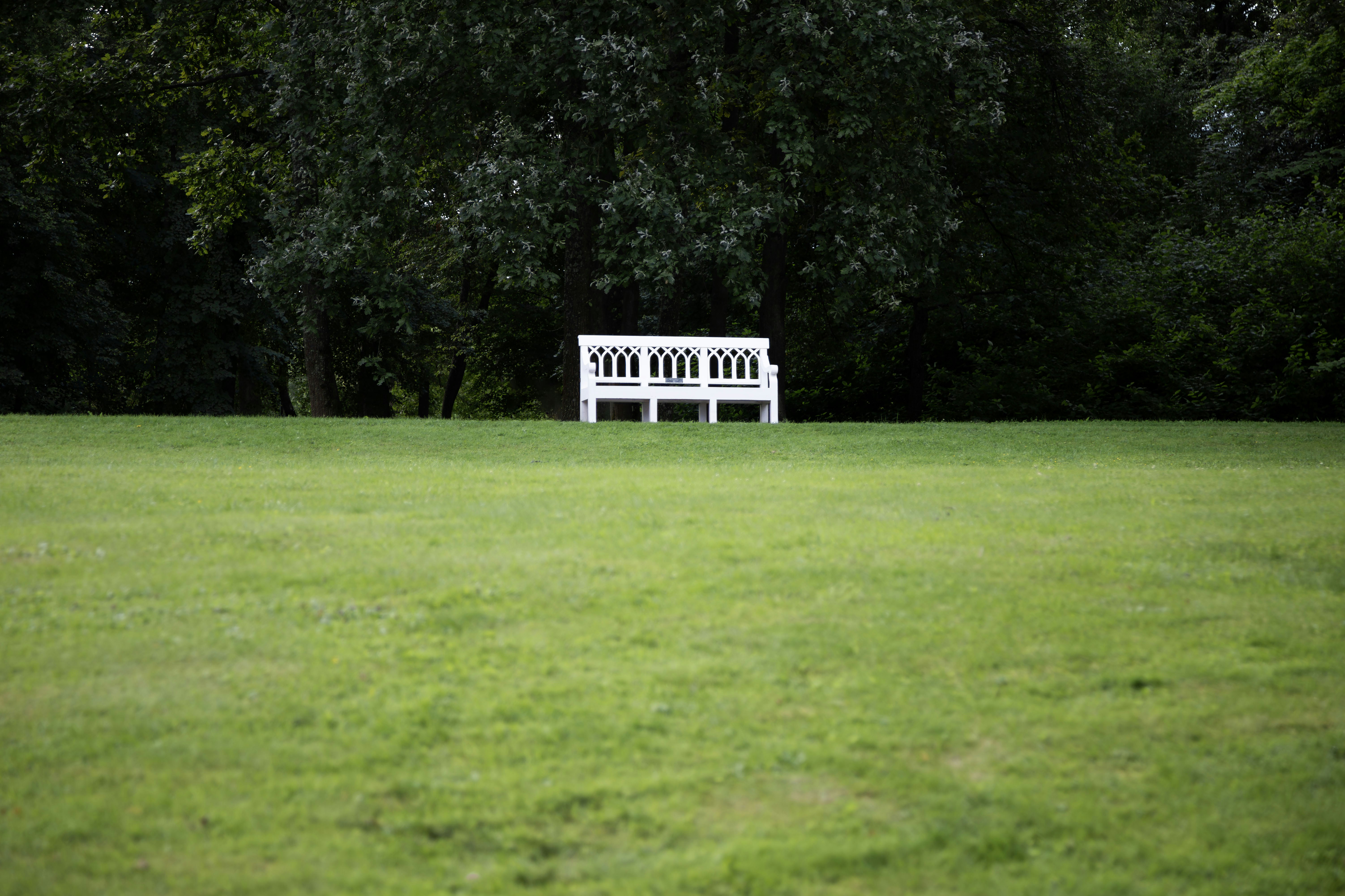 Solitude on the Green: A Bench Awaits