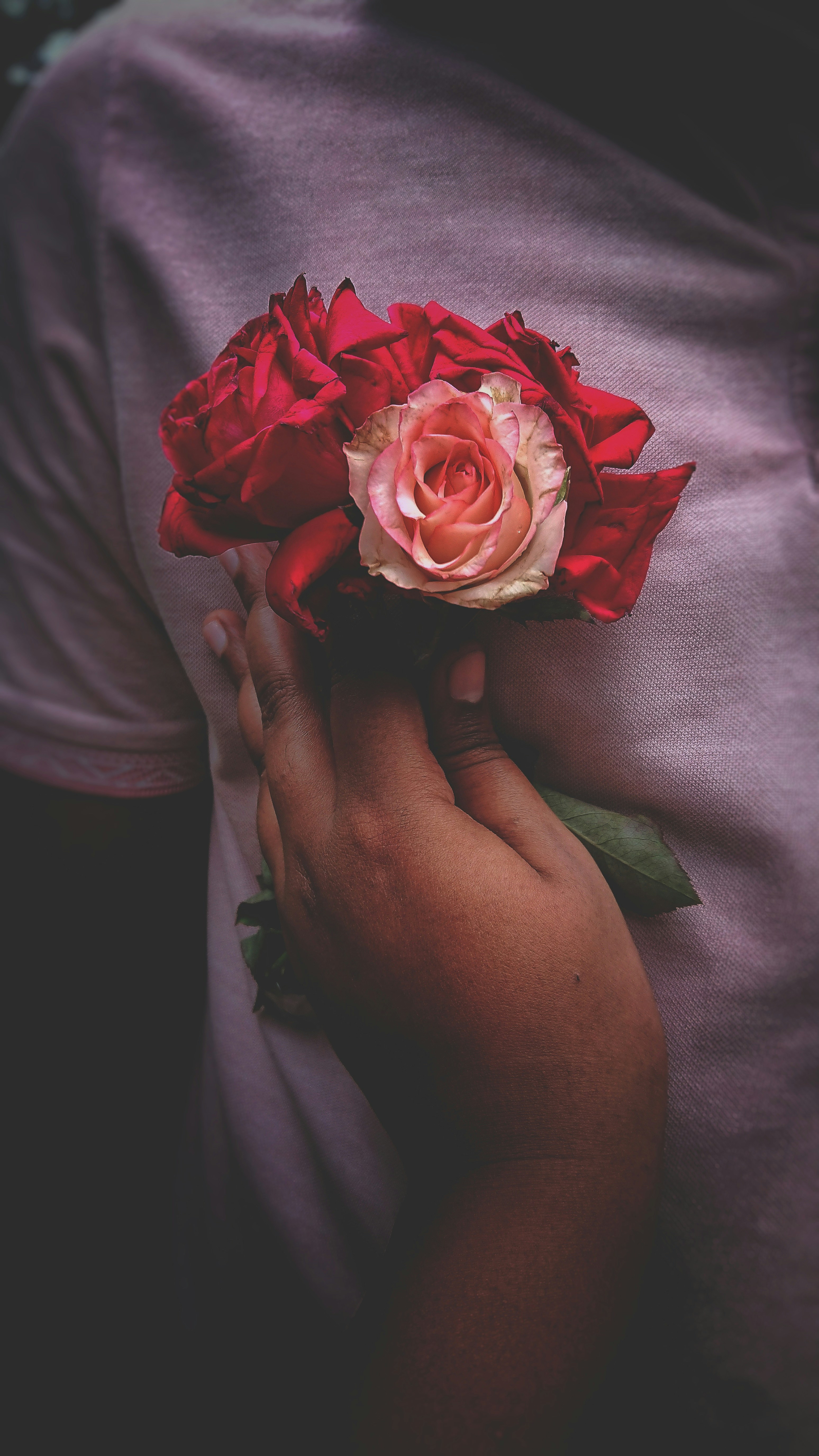 A hand holding a bouquet of roses against a pink shirt