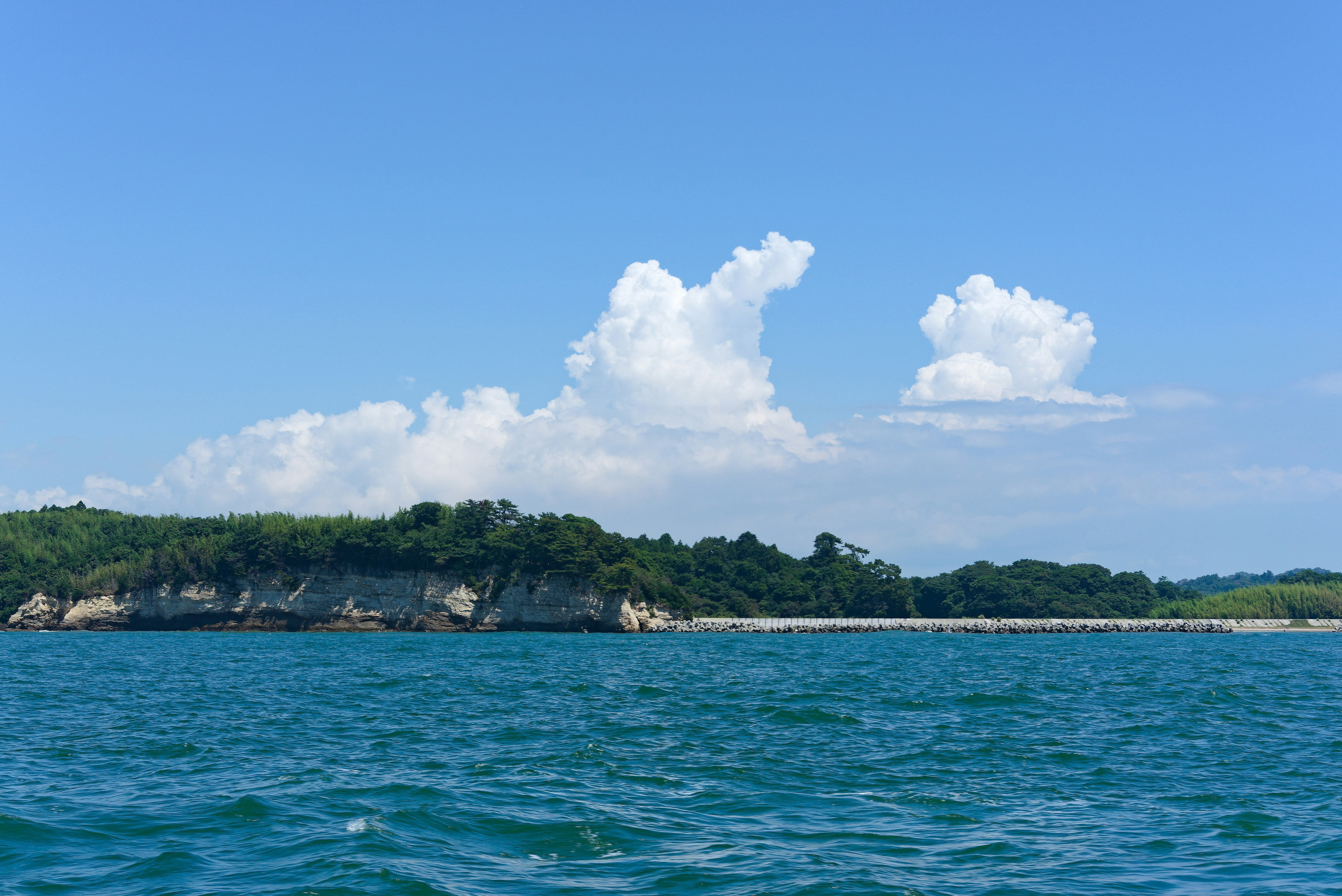 Lush greenery meets the tranquil sea under a vast blue sky dotted with fluffy clouds, showcasing a serene coastal landscape.