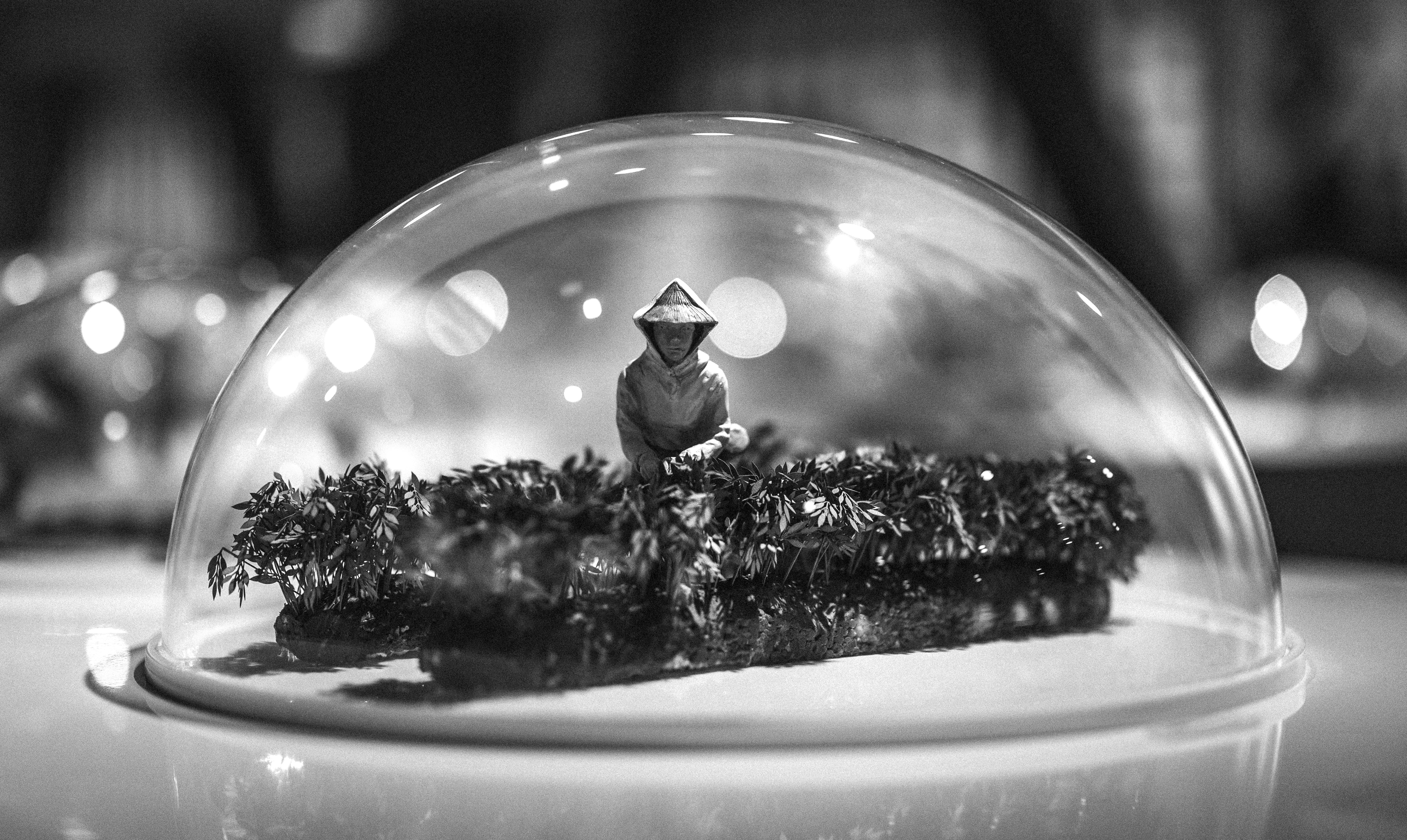 Glass Dome Sentinel: A Tiny Hooded Figure Among Moss