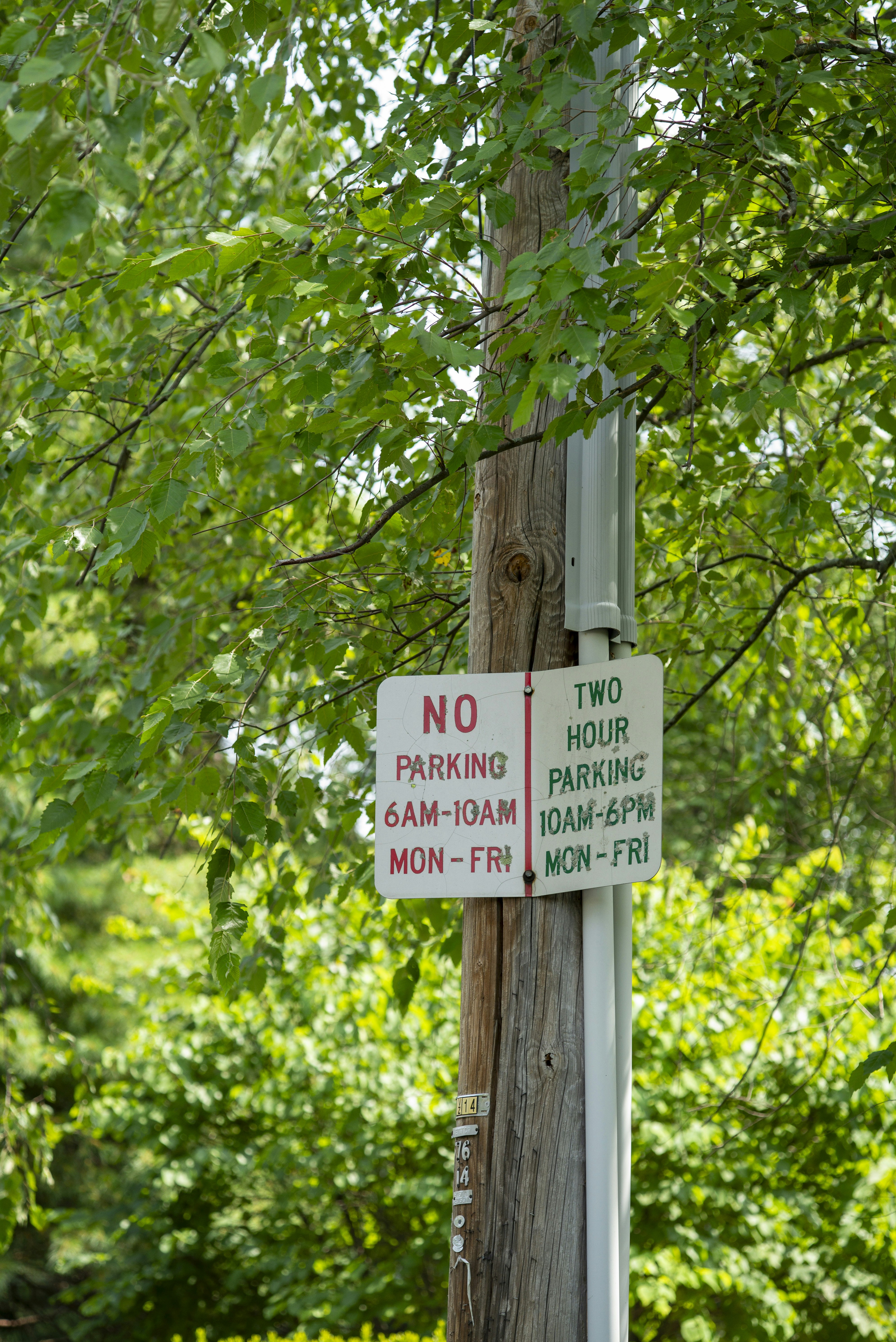 Parking regulation sign mounted on a wooden post, surrounded by lush green leaves. The sign details specific parking restrictions for weekdays.