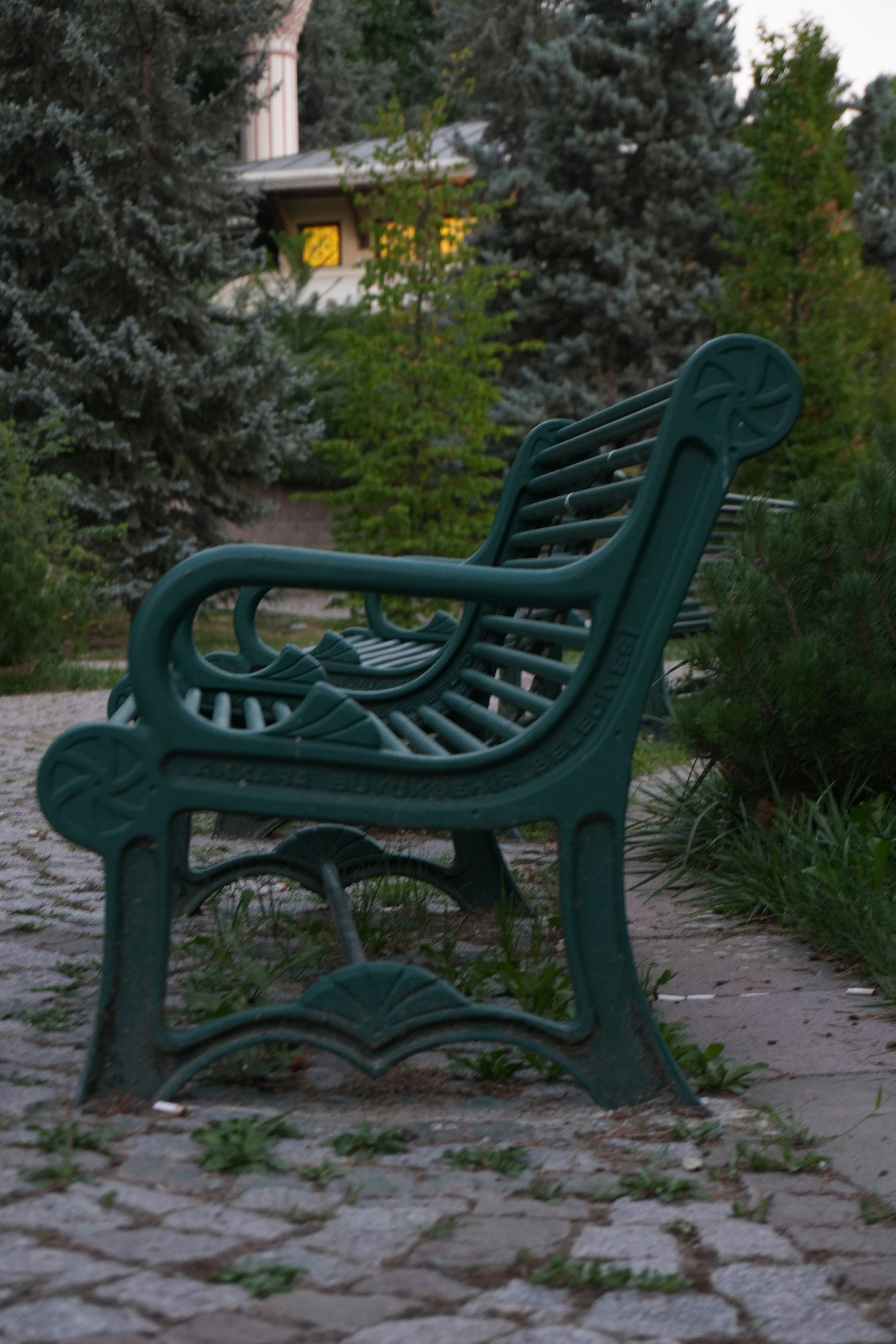 Whispers of Serenity: A Park's Embrace