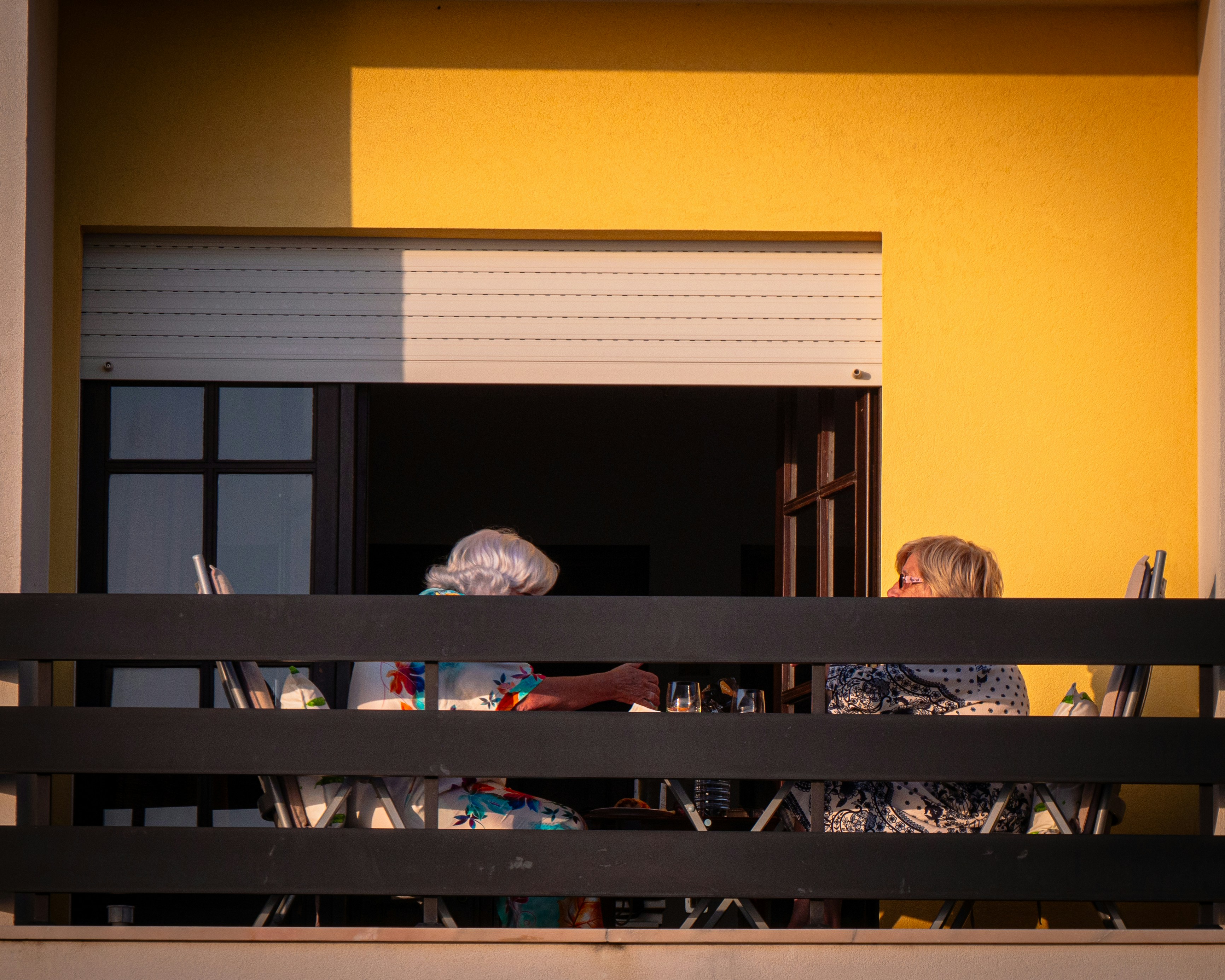 Conversations in Sunlit Serenity
