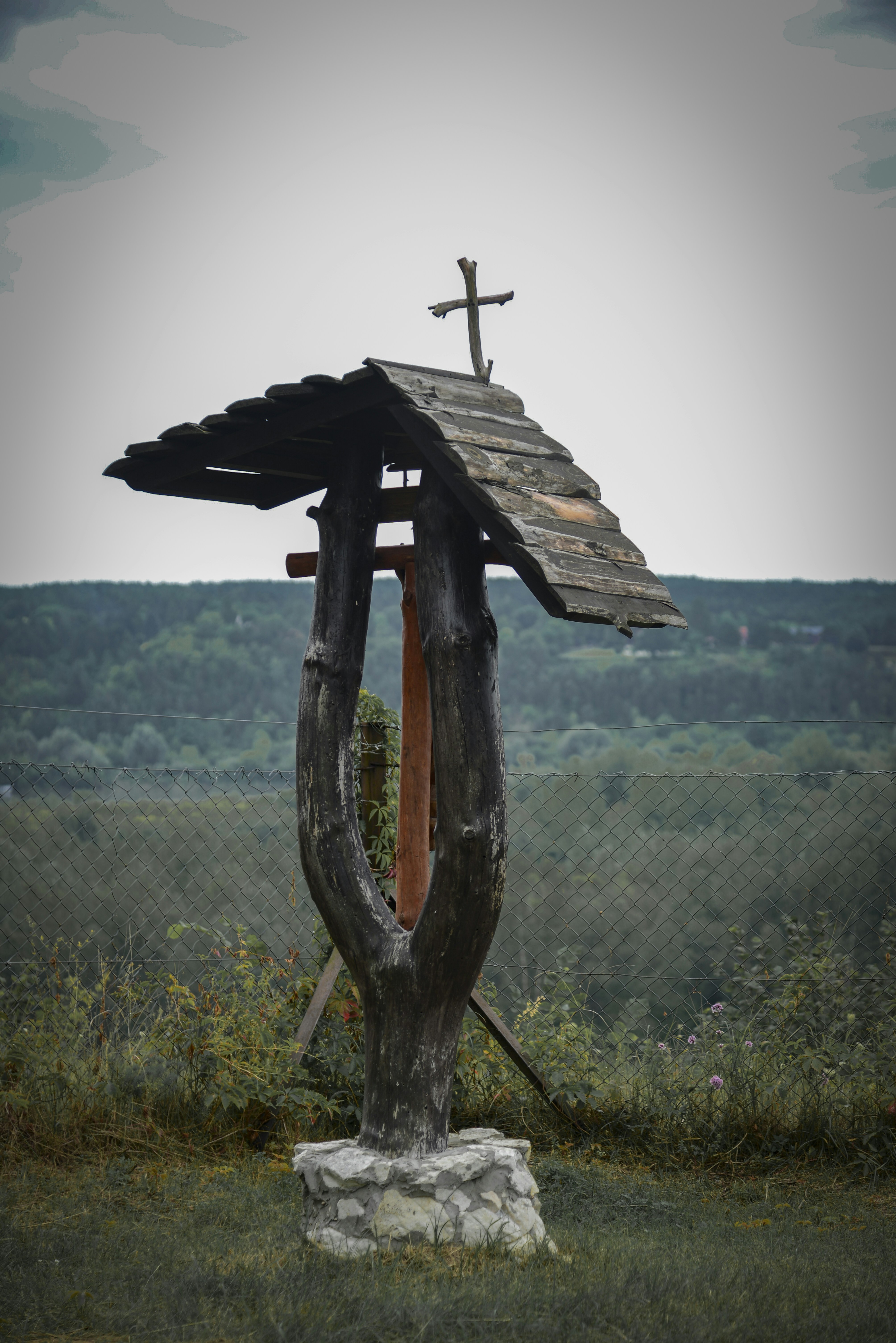 Whispers of Faith Beneath the Canopy