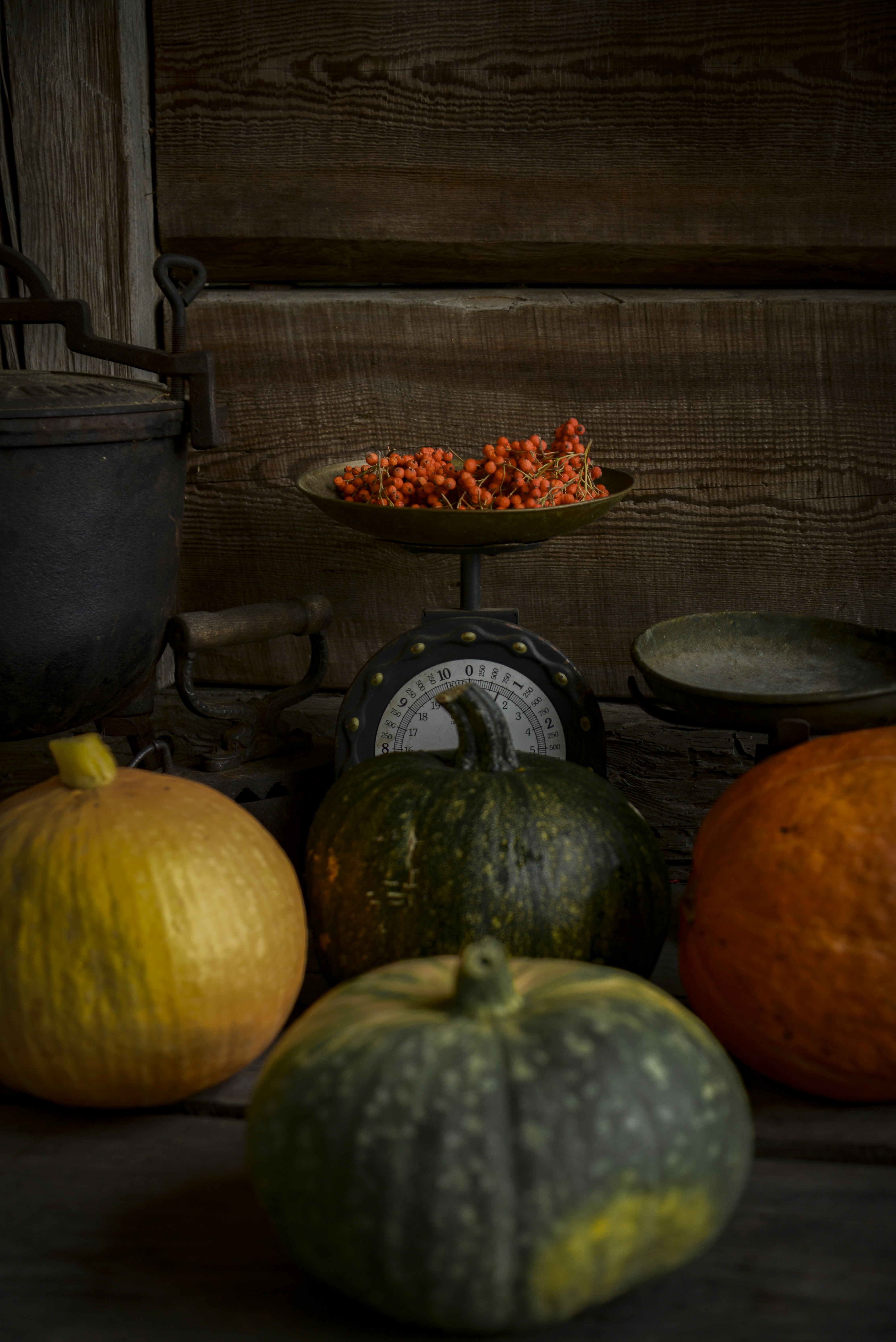 Harvest of Warm Light: Pumpkins and Vintage Scale in a Rustic Kitchen