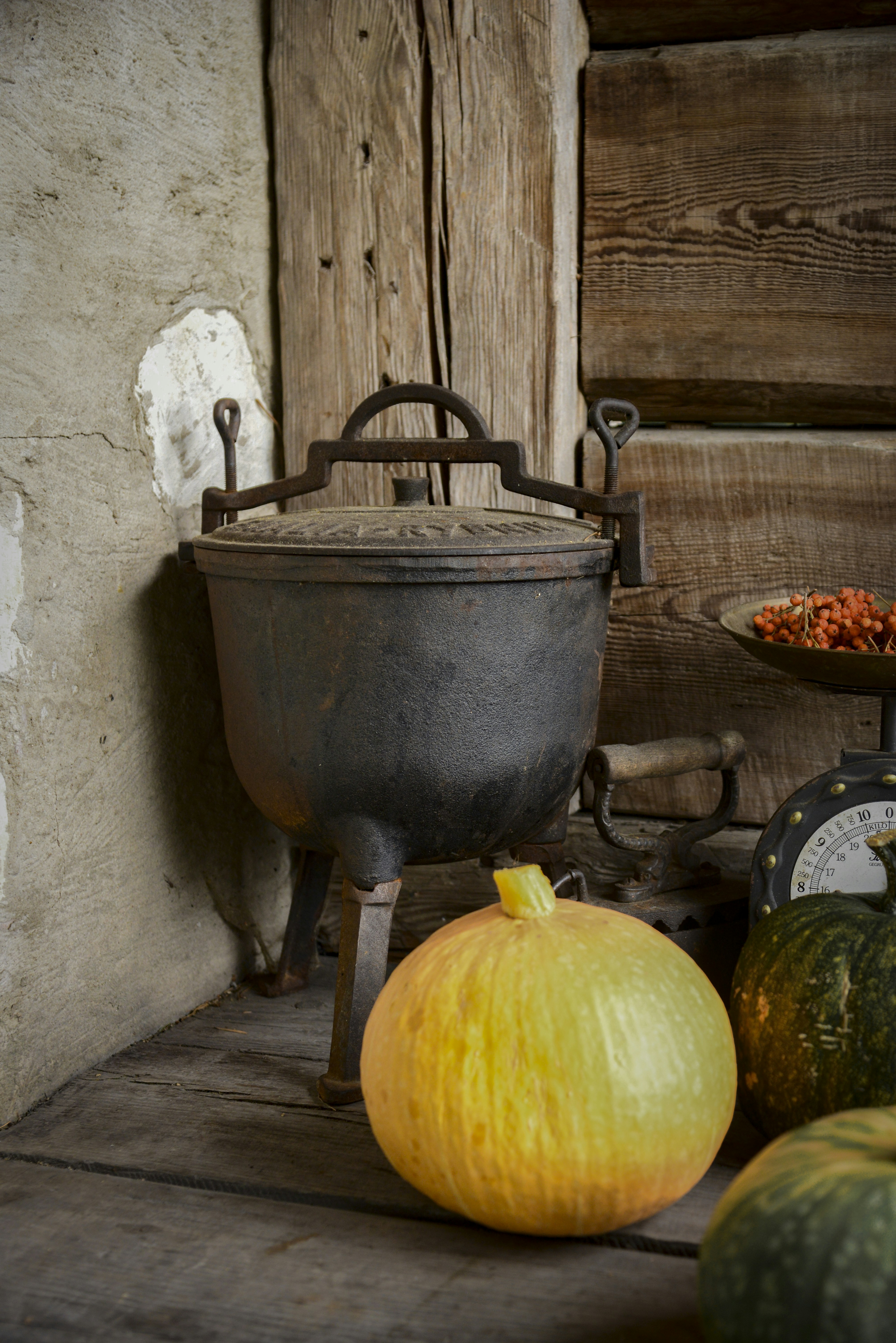 Harvest Time: A Rustic Still Life