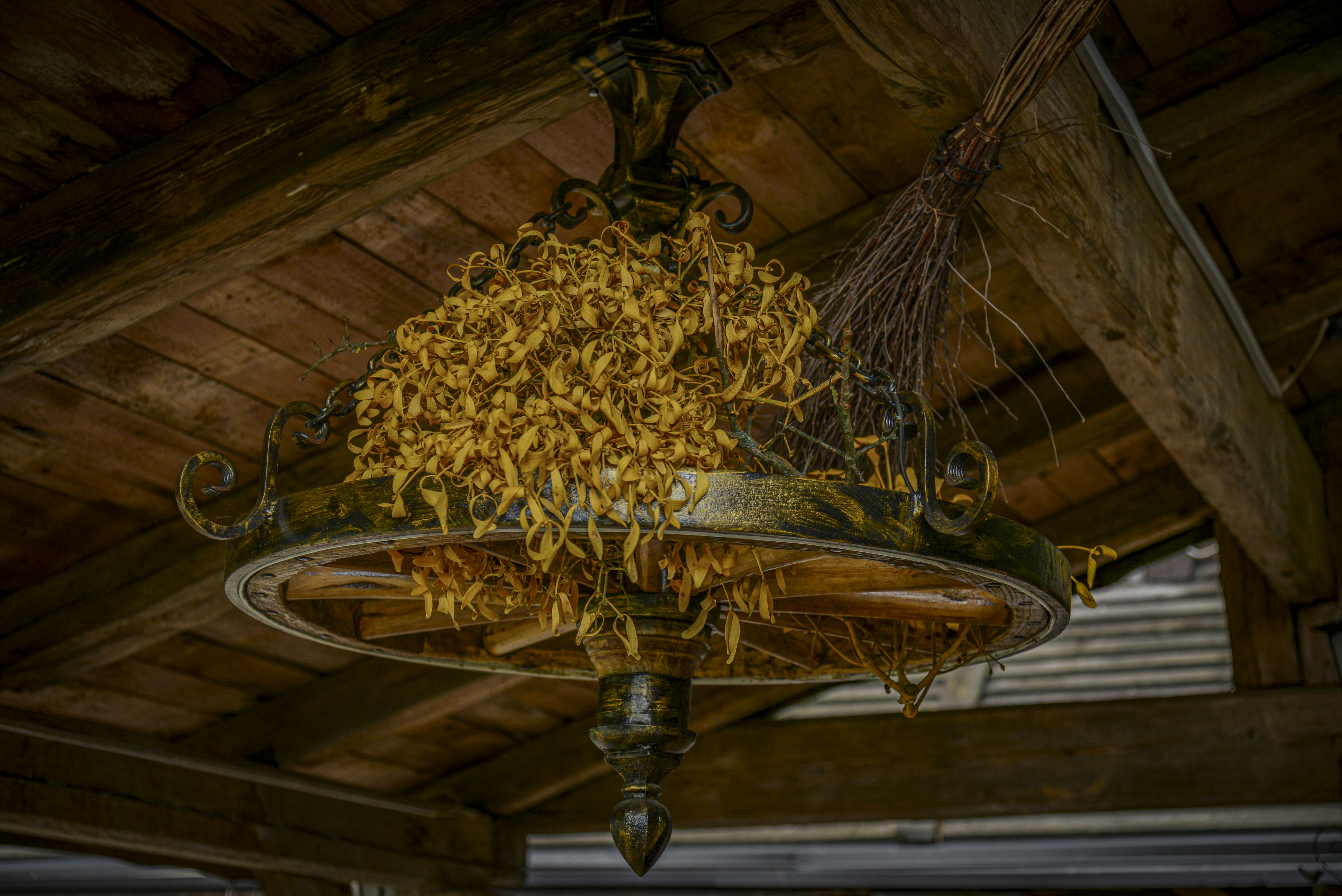 The Artisan's Touch: A Whimsical Display of Craft