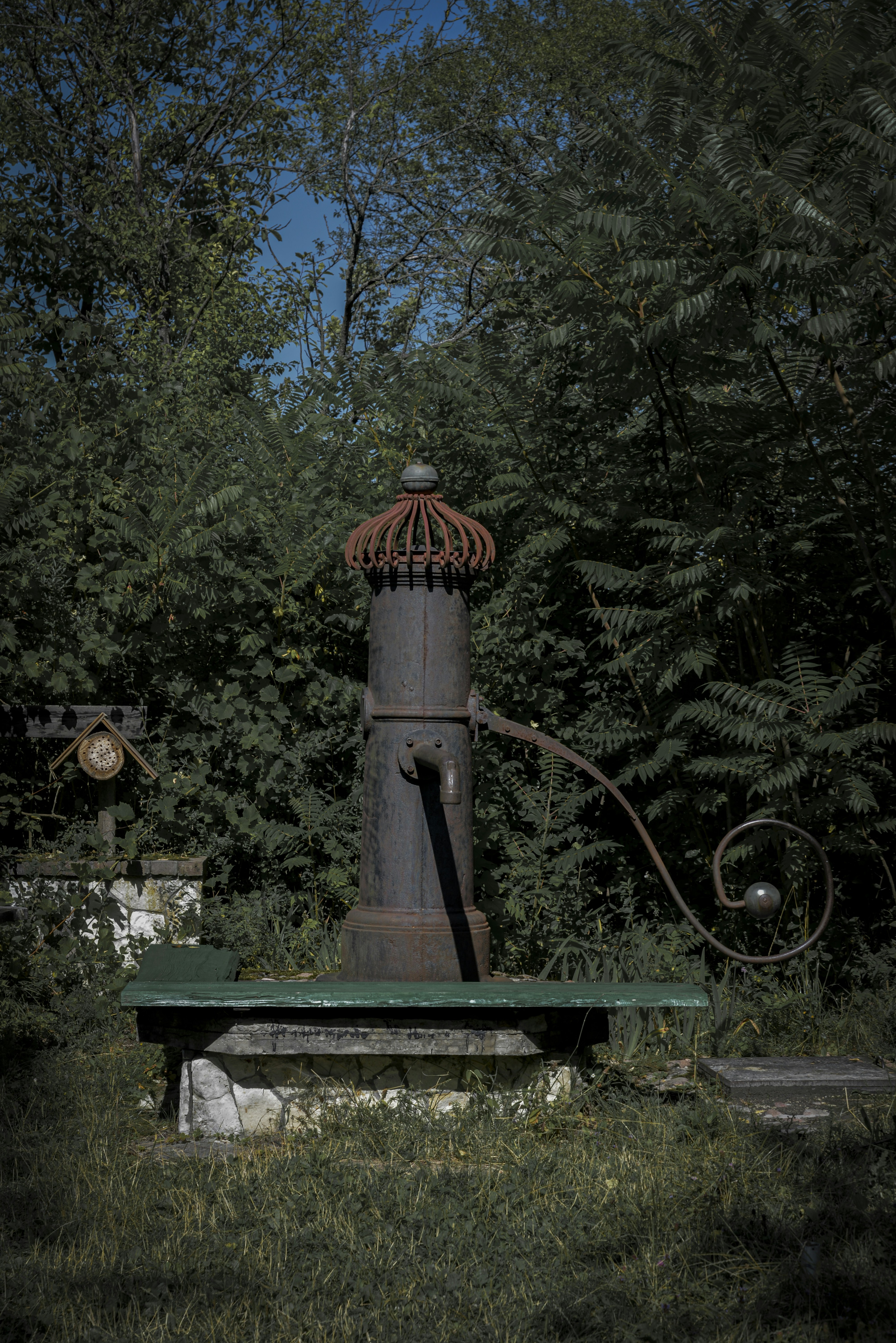Old well pump in a grassy, wooded area