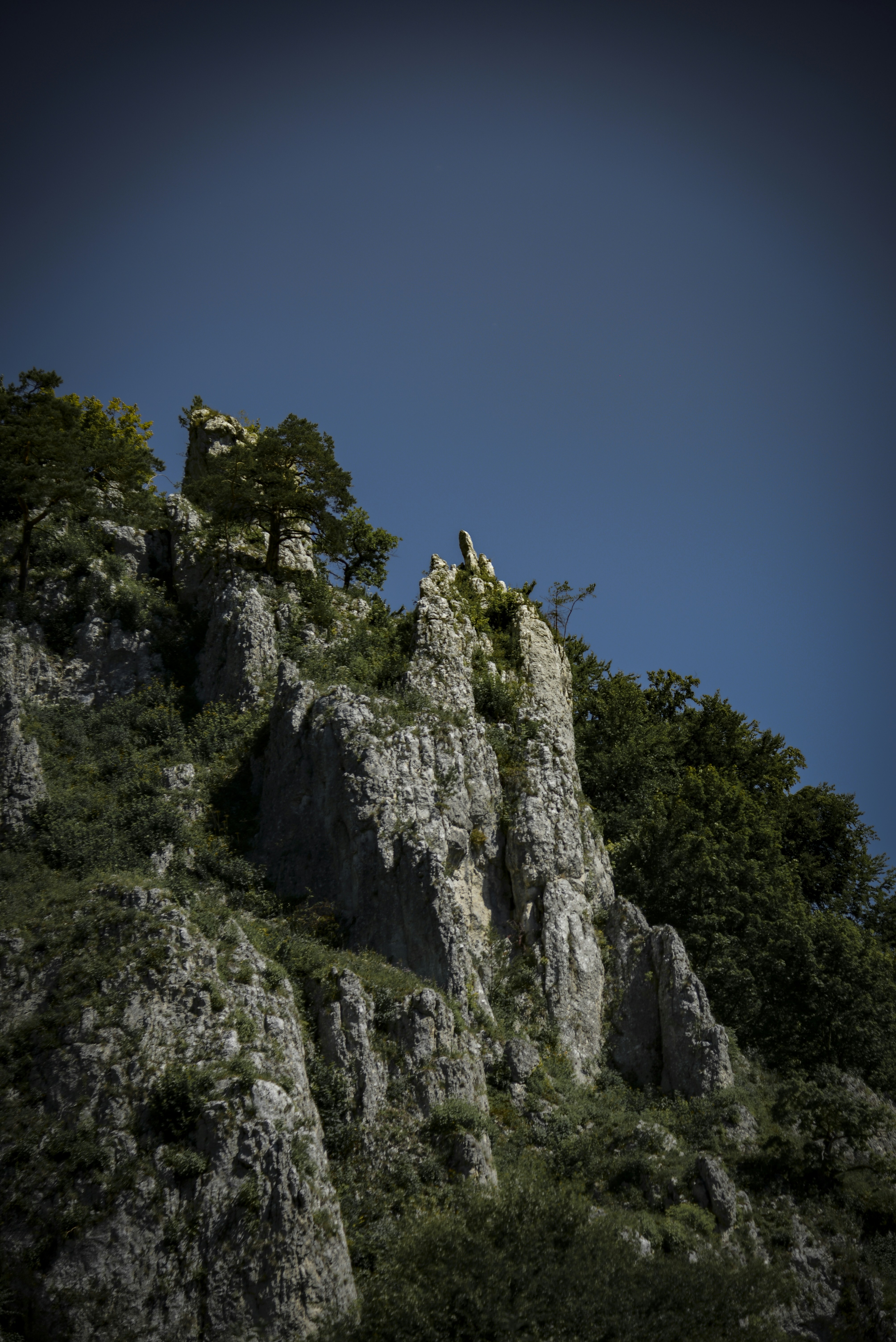 Sentinels of Stone: Nature's Majestic Guardians