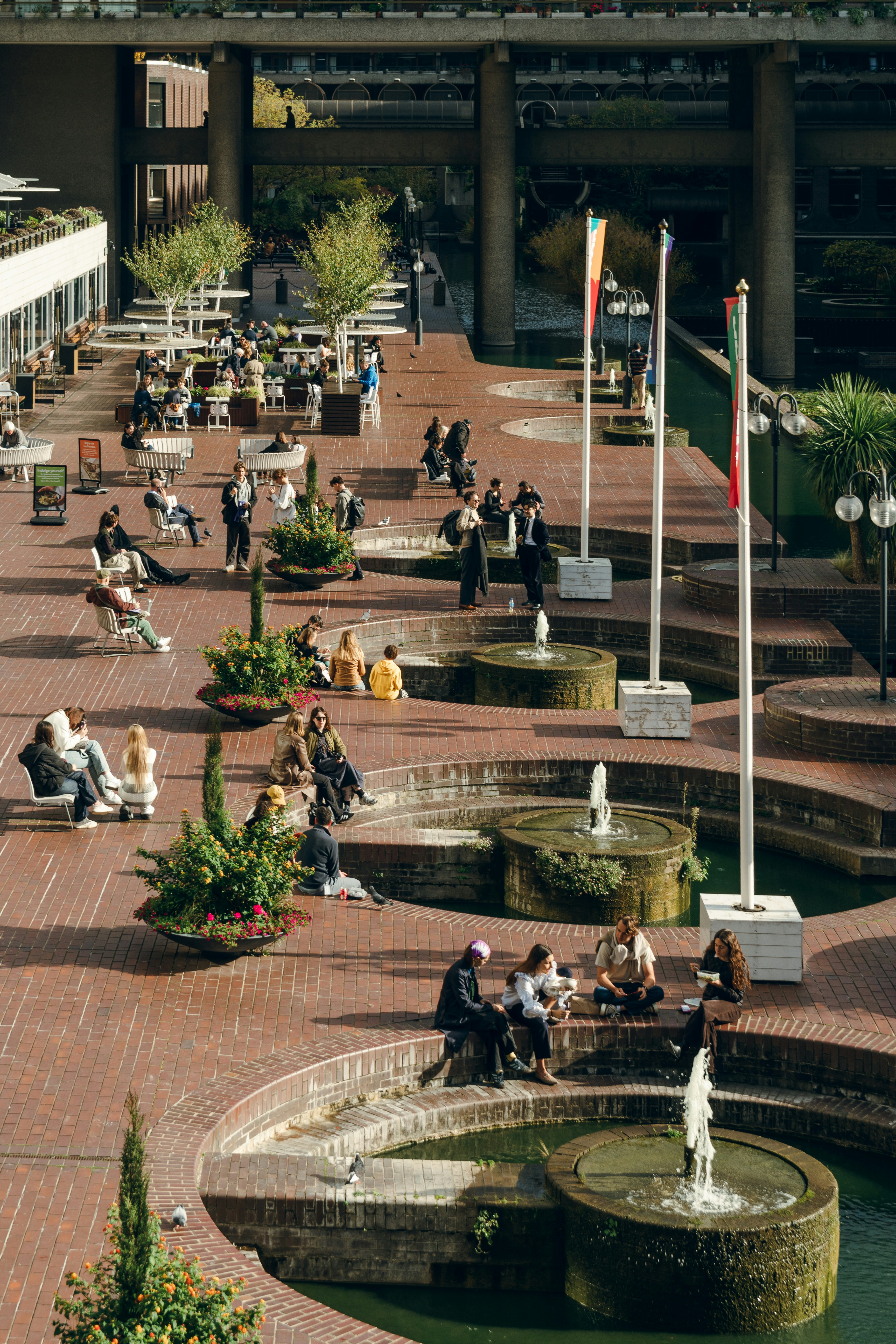 Urban Oasis: A Gathering of Life and Leisure