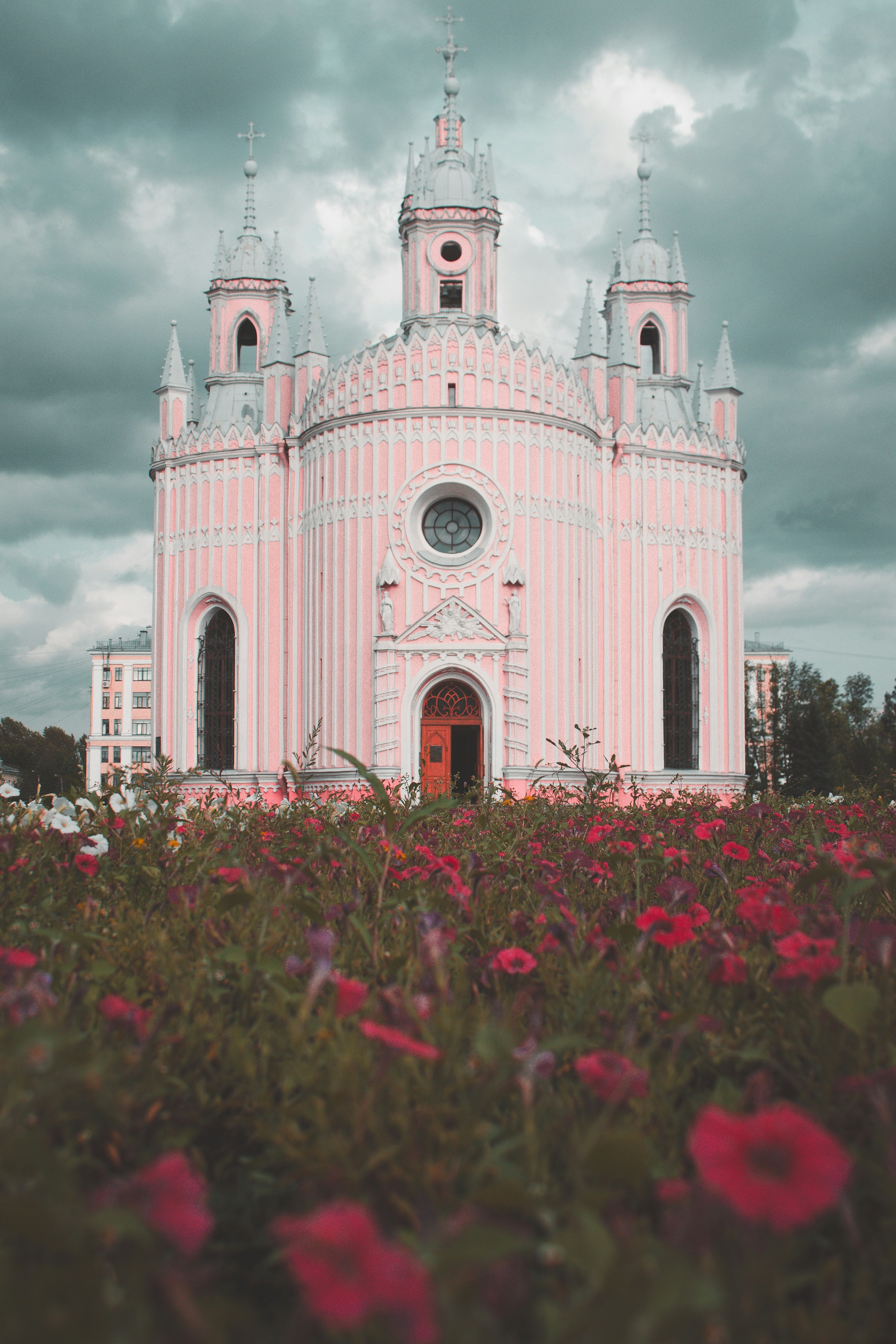 Whispers of Pink Amidst a Floral Embrace