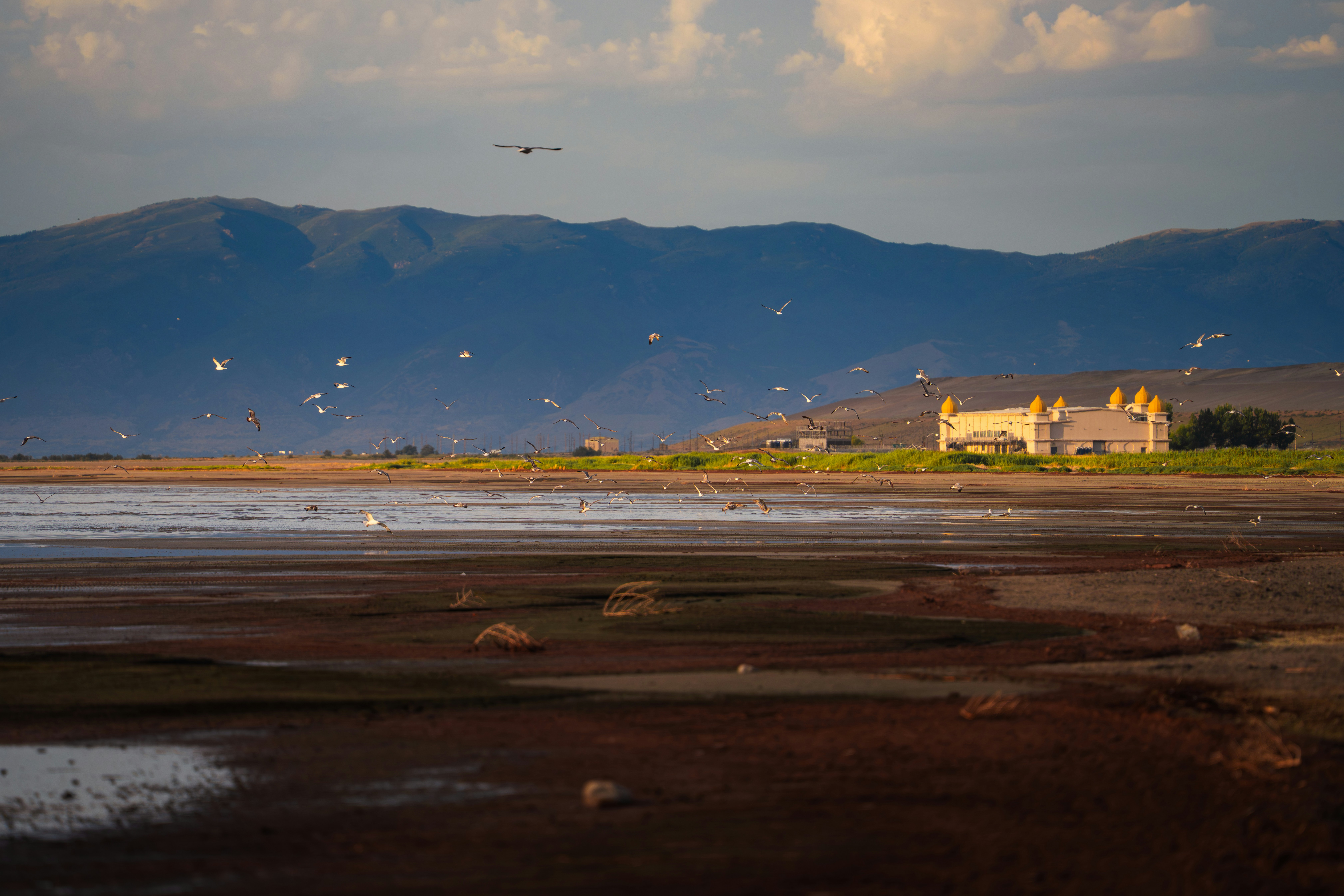 A tranquil lakeside scene featuring a distant building surrounded by mountains and flocks of birds in flight. The landscape captures the essence of natural beauty.