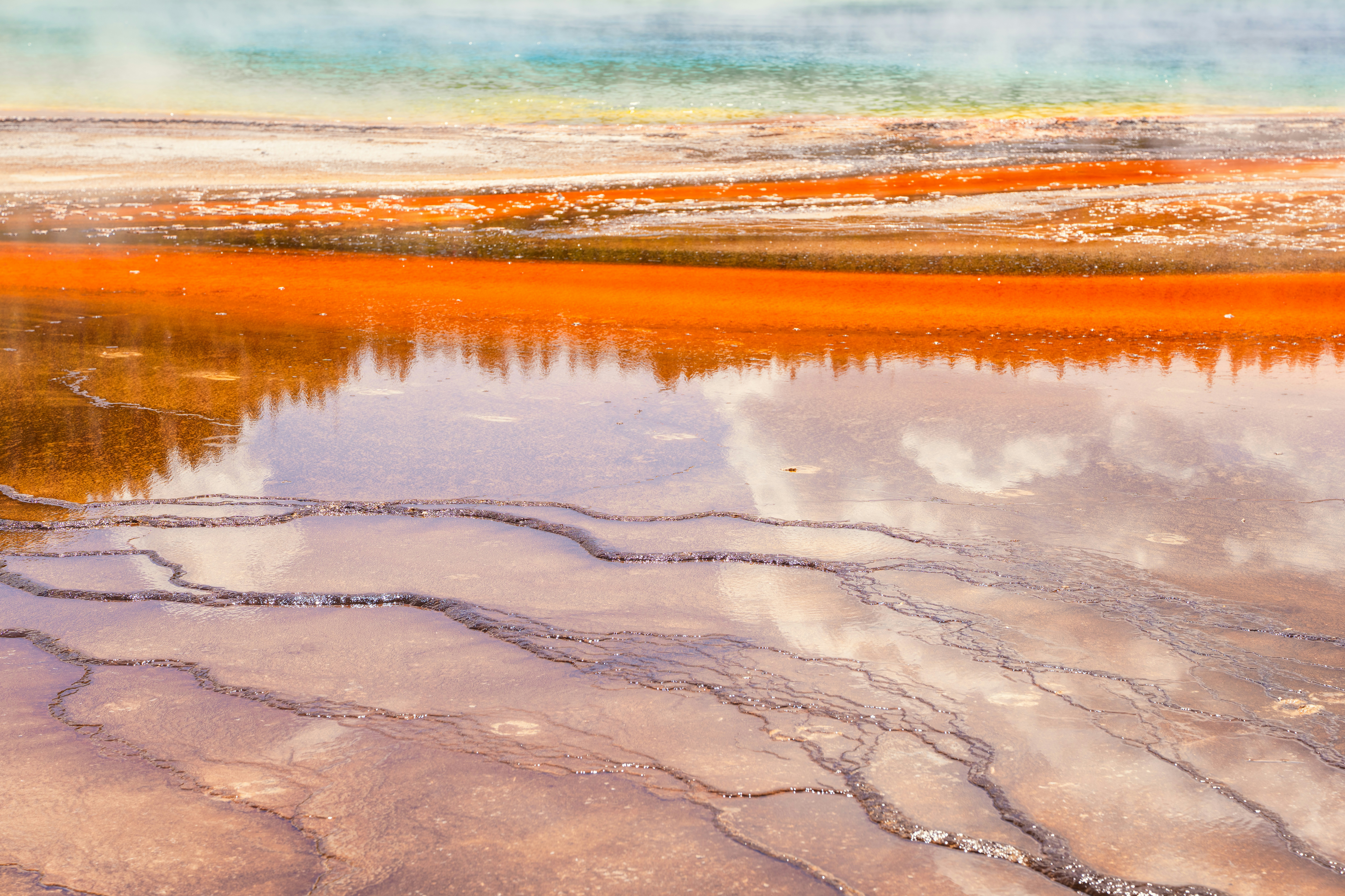 Nature's Palette: A Symphony of Color and Reflection