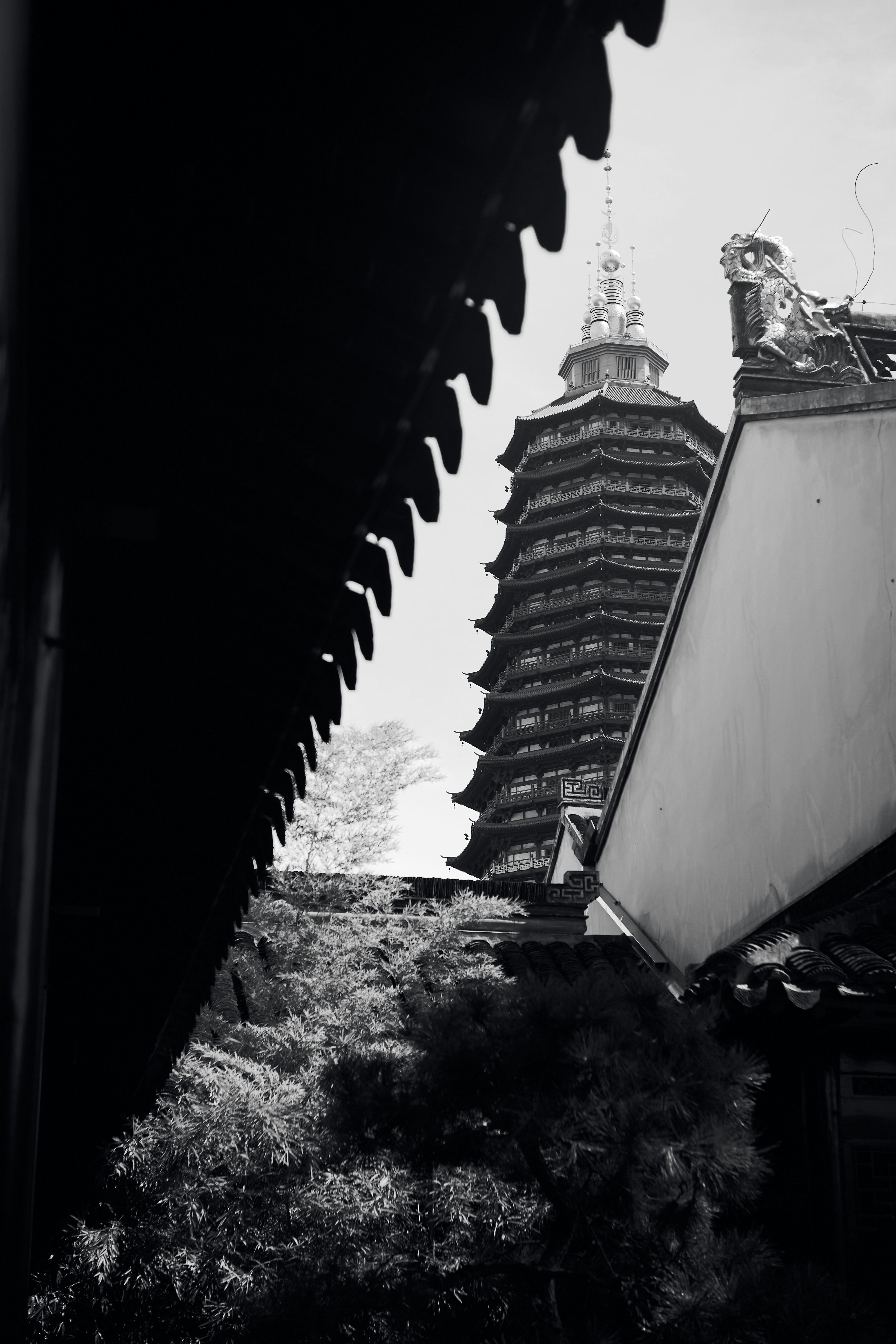 Whispers of Time: The Tower's Silent Watch