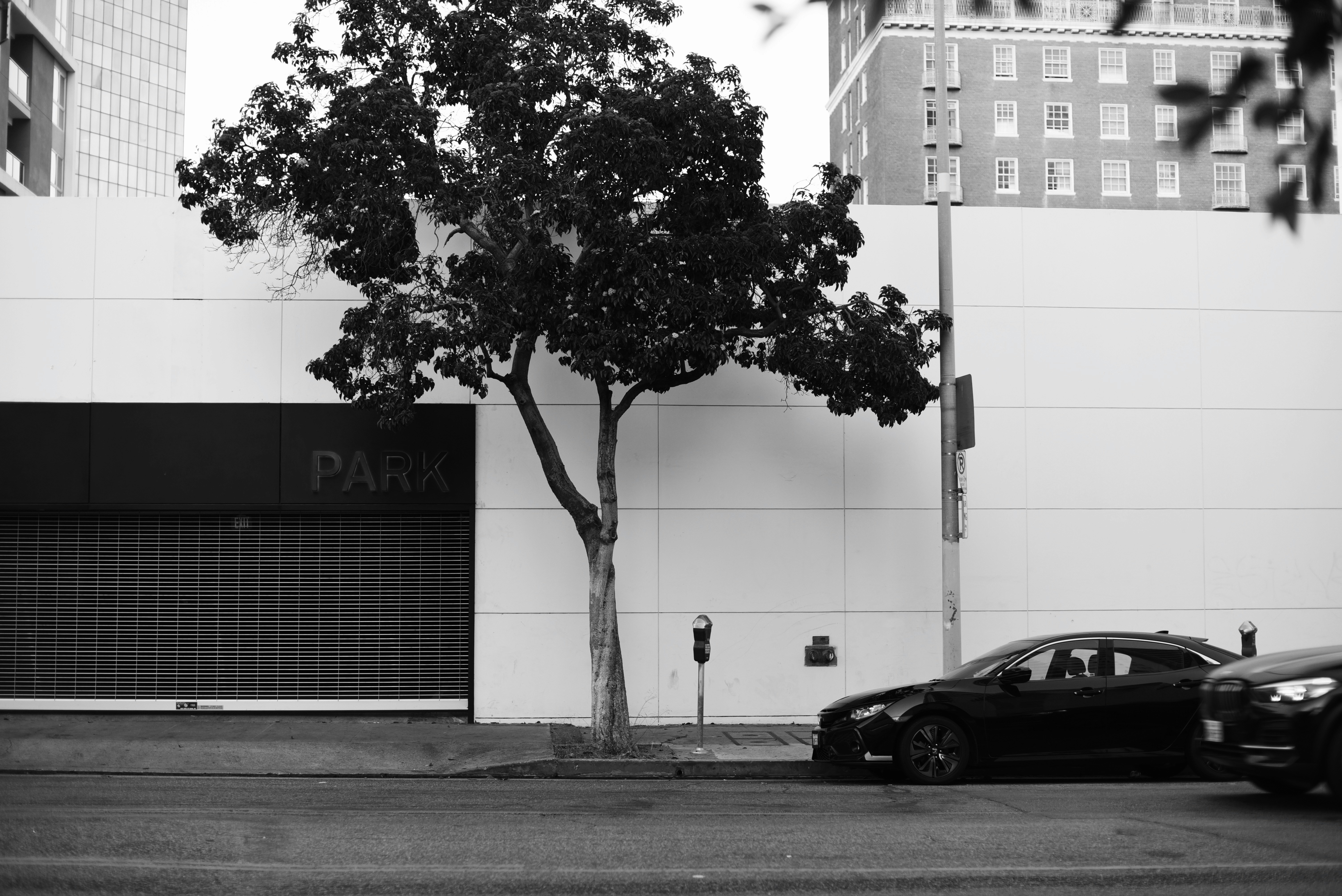 Urban Minimalism | Tree and car parked on street with building