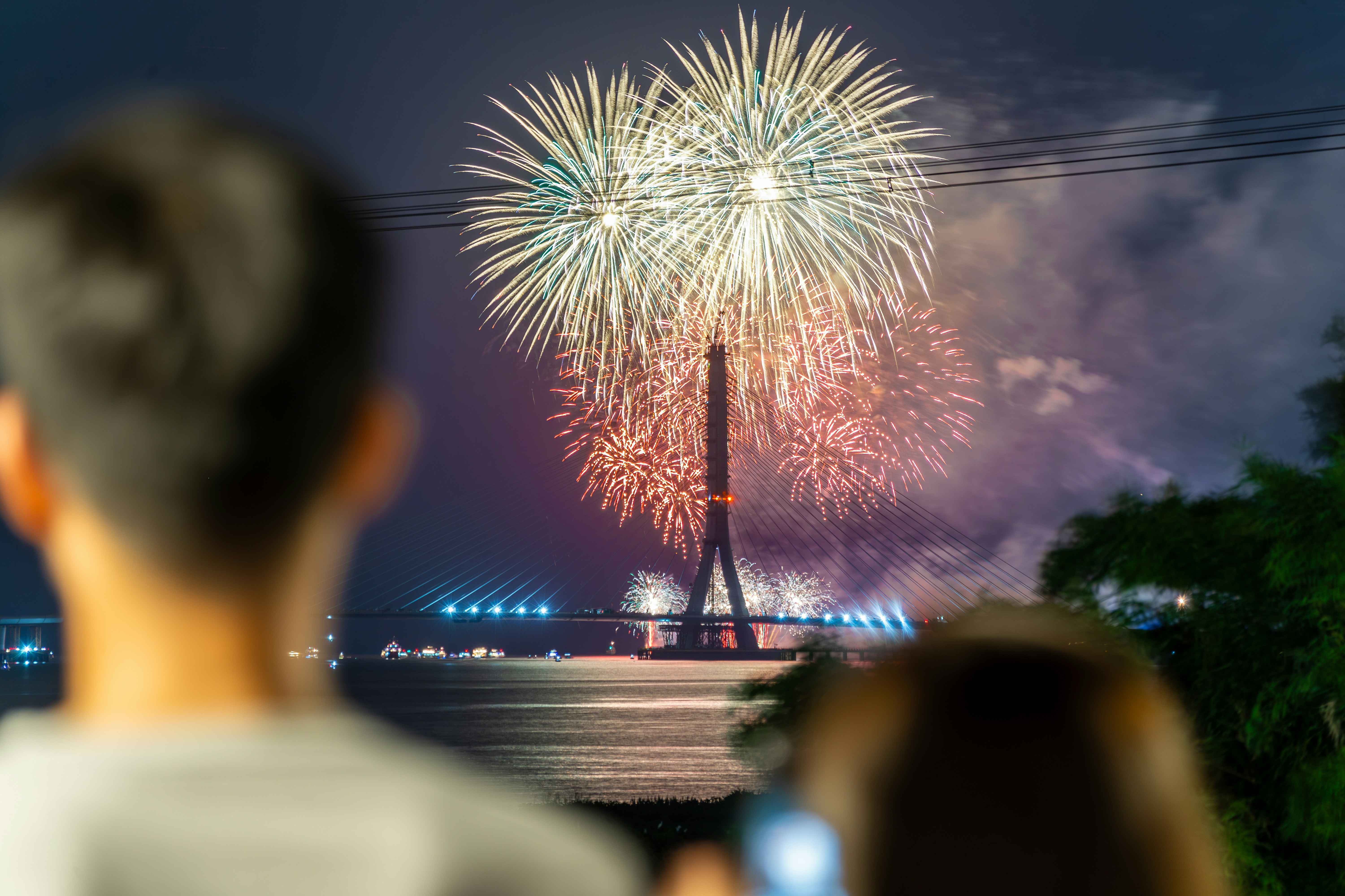 Illuminated Reverie: Fireworks Over the Iconic Tower