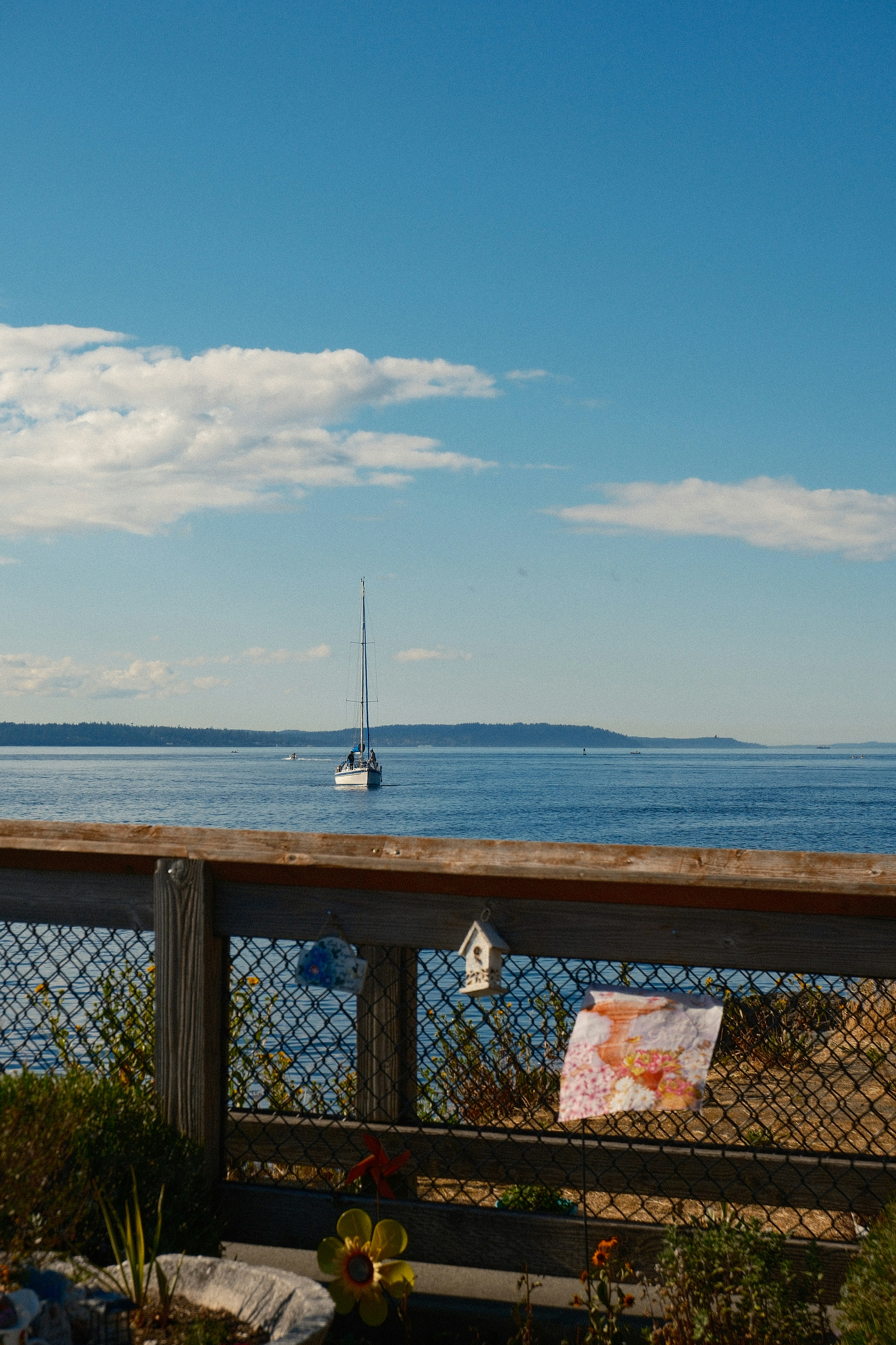 Sailing Serenity: A Coastal Escape
