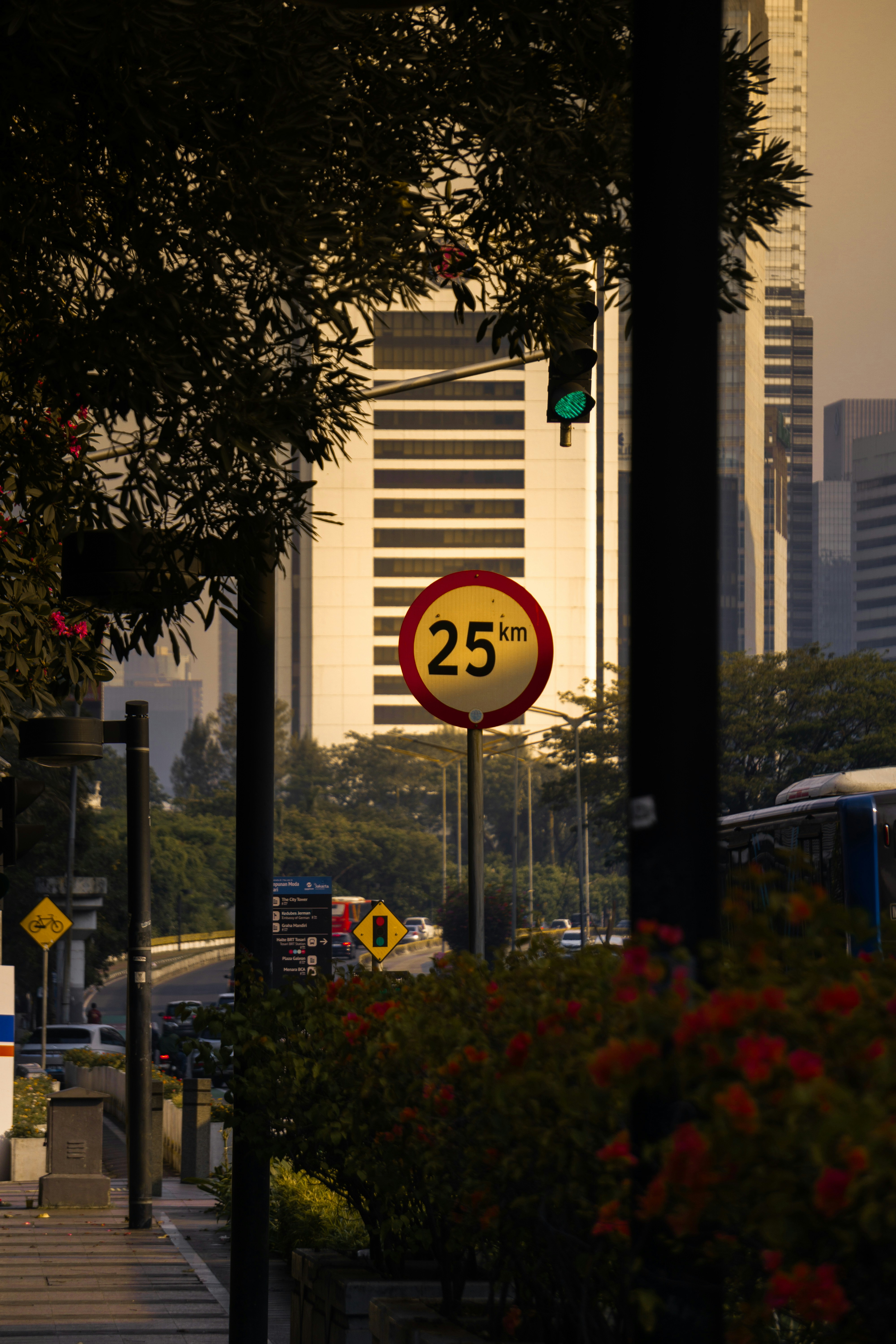 Traffic sign indicating a speed limit of 25 km/h amidst urban foliage and modern architecture. A vibrant city scene unfolds in the background.