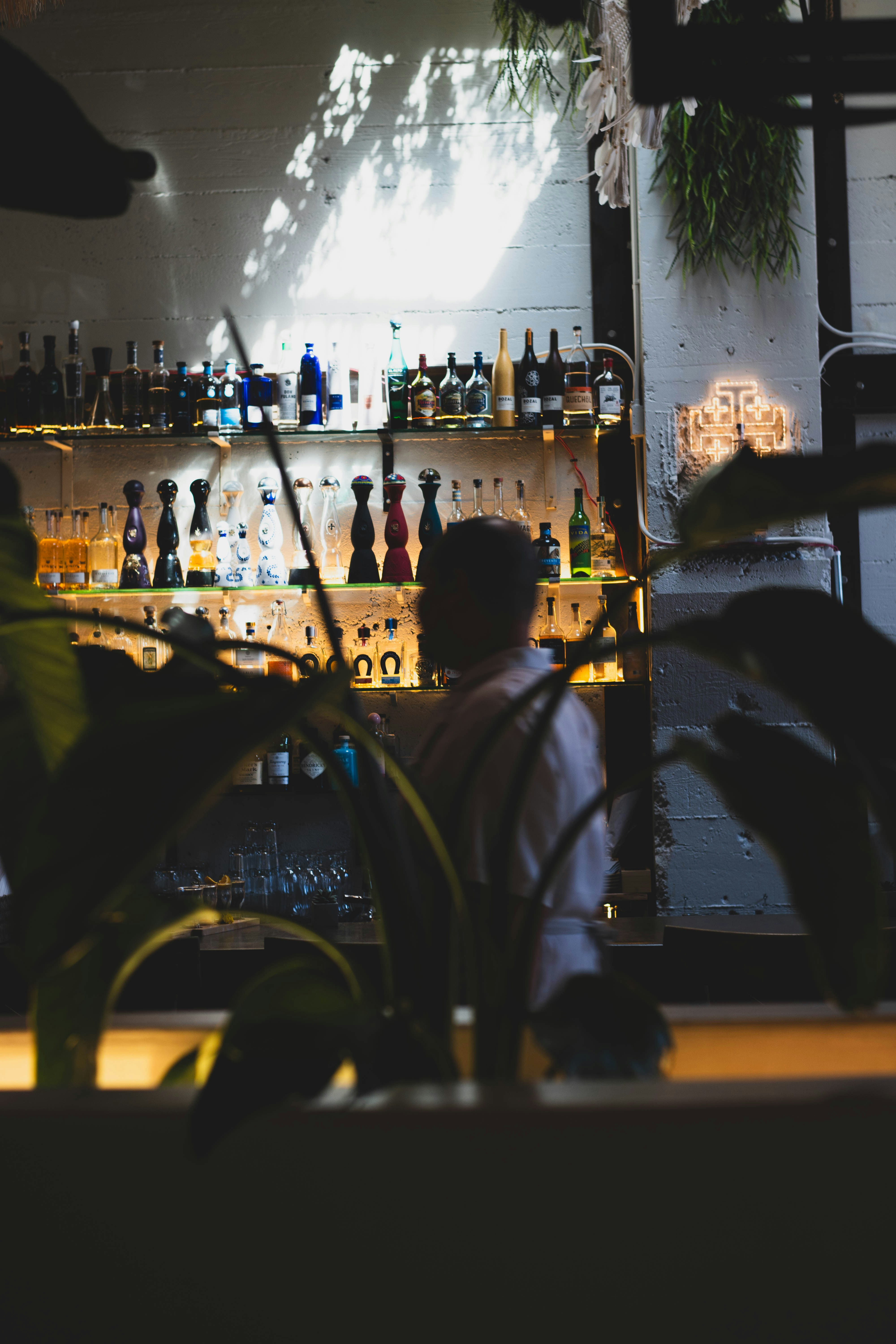Bartender in a stylish bar surrounded by an array of colorful bottles, with soft light creating a warm ambiance.