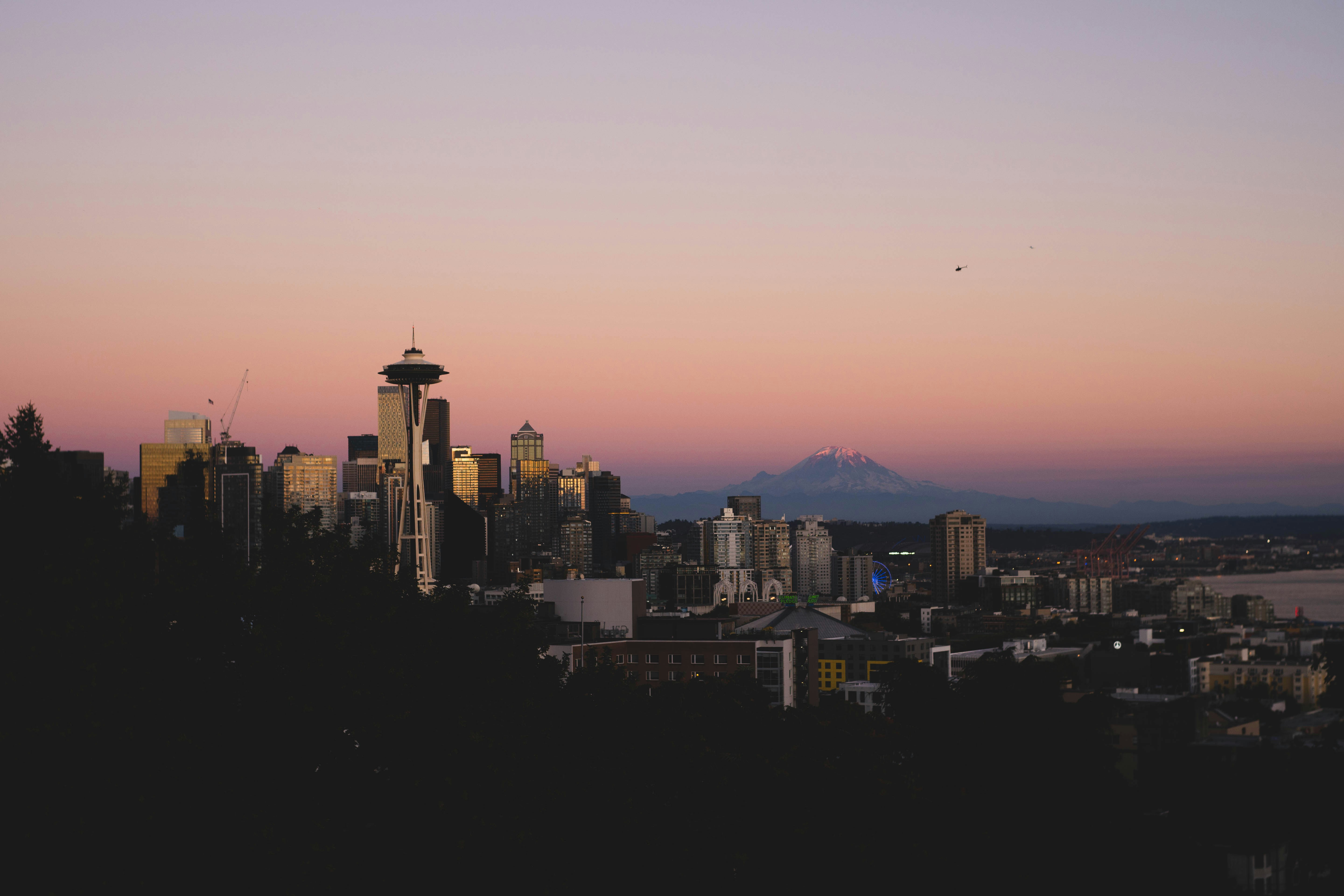 Photo by Madeline Liu with Sony Alpha 6400