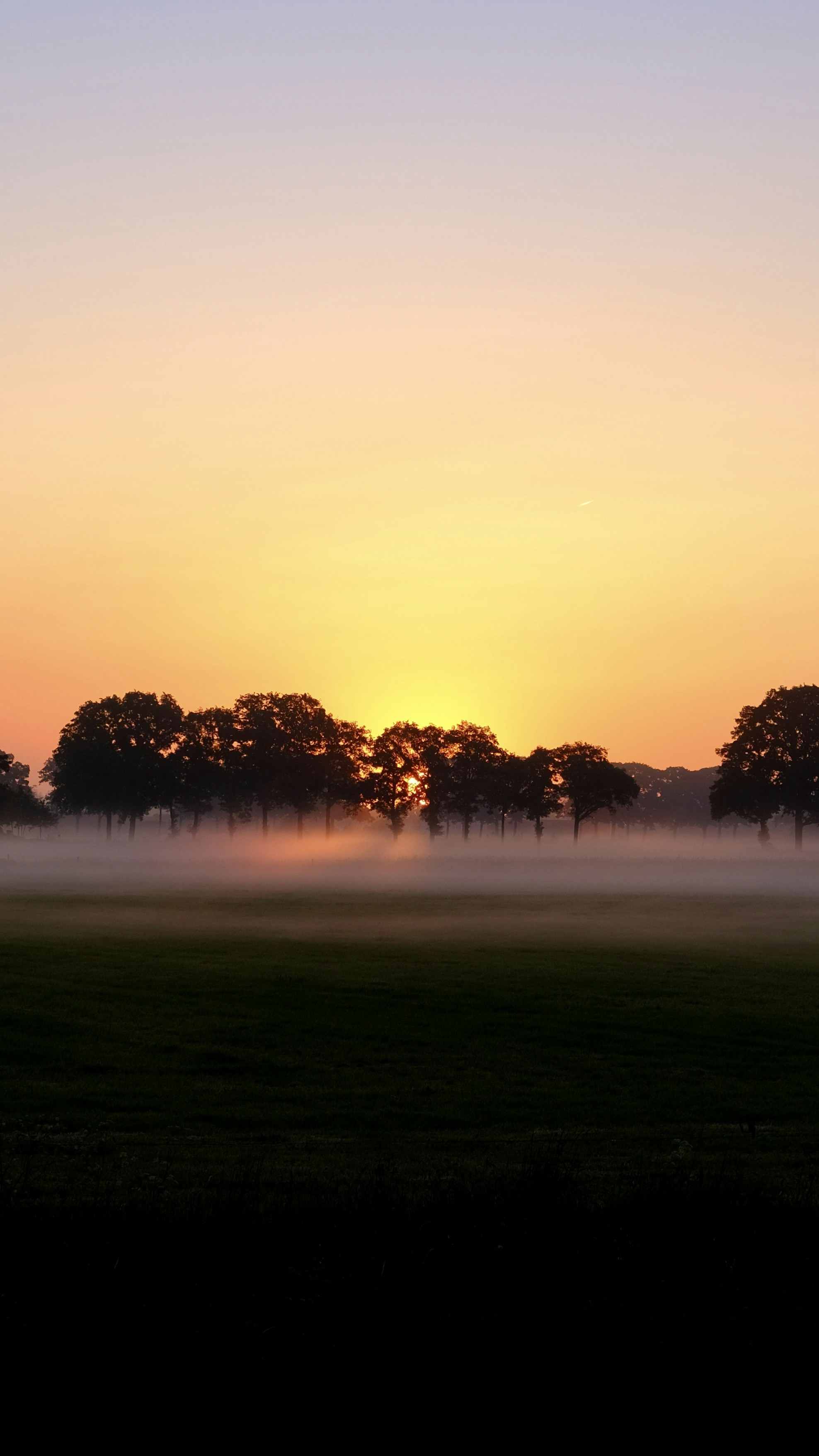 Golden sunrise over a mist-covered field. | Sunrise over a misty field with trees