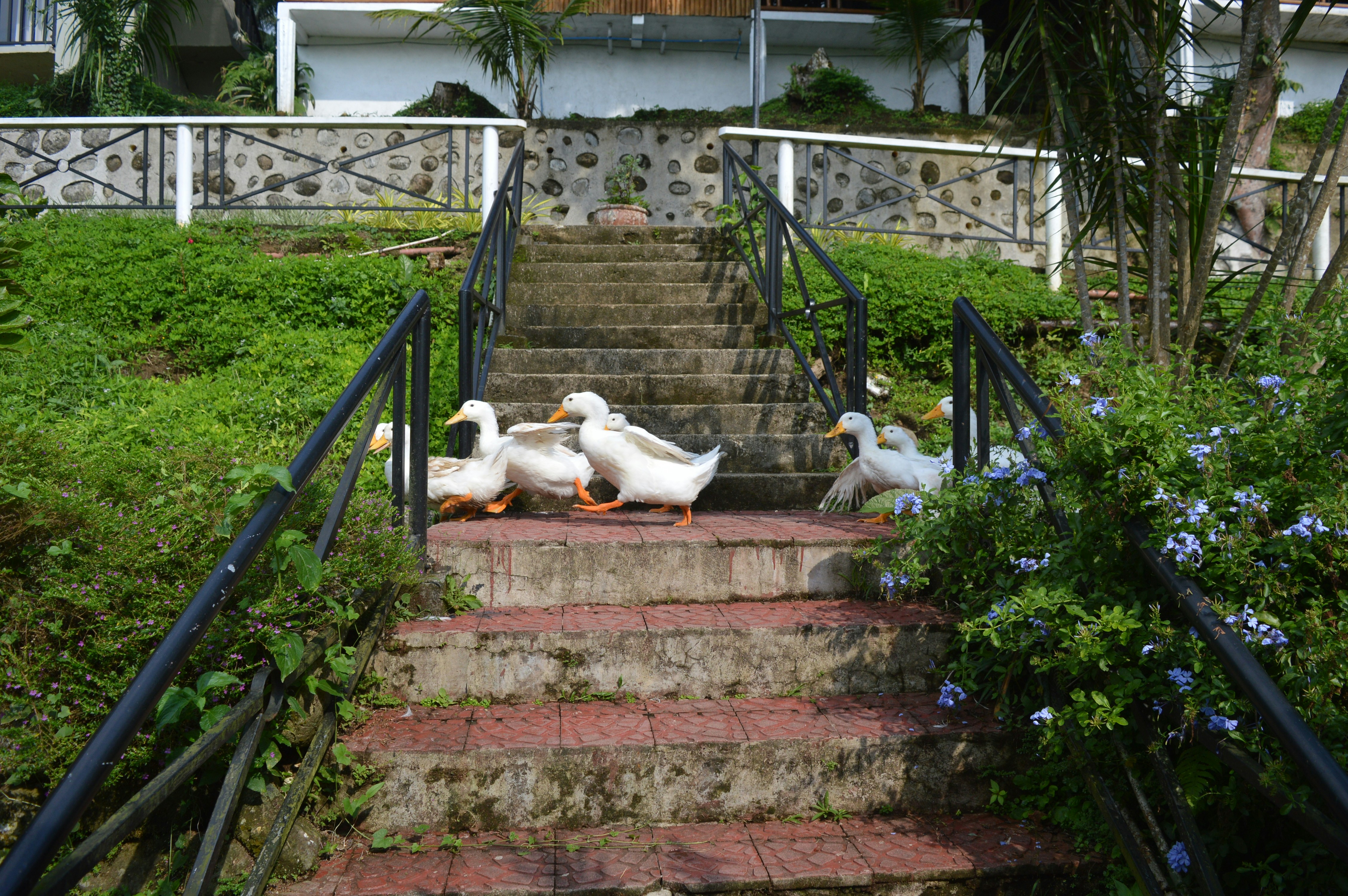 Wisteria Graphics (@wisteriagraphics) | Communauté photos Unsplash