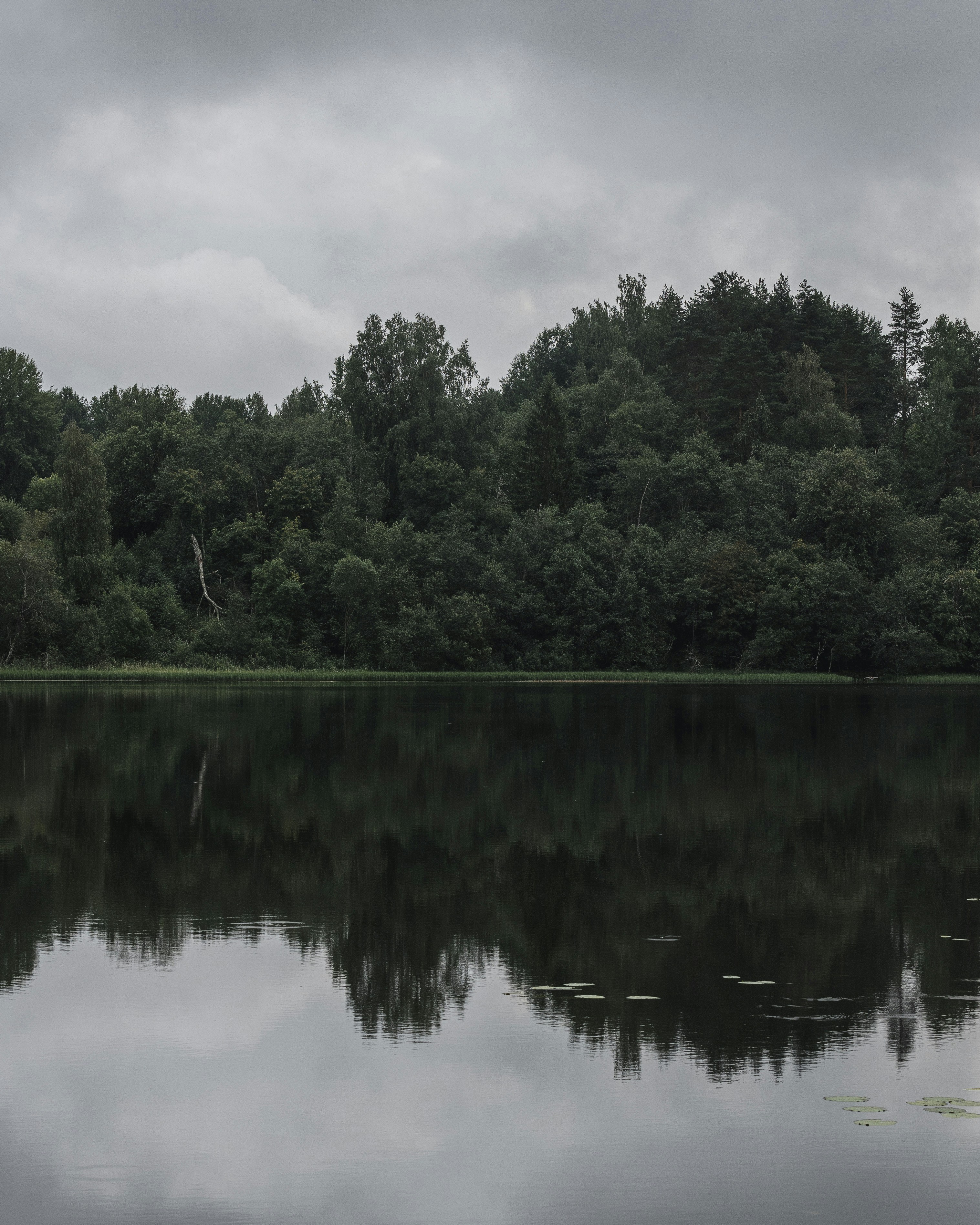 Calm lake reflecting dark trees under cloudy sky