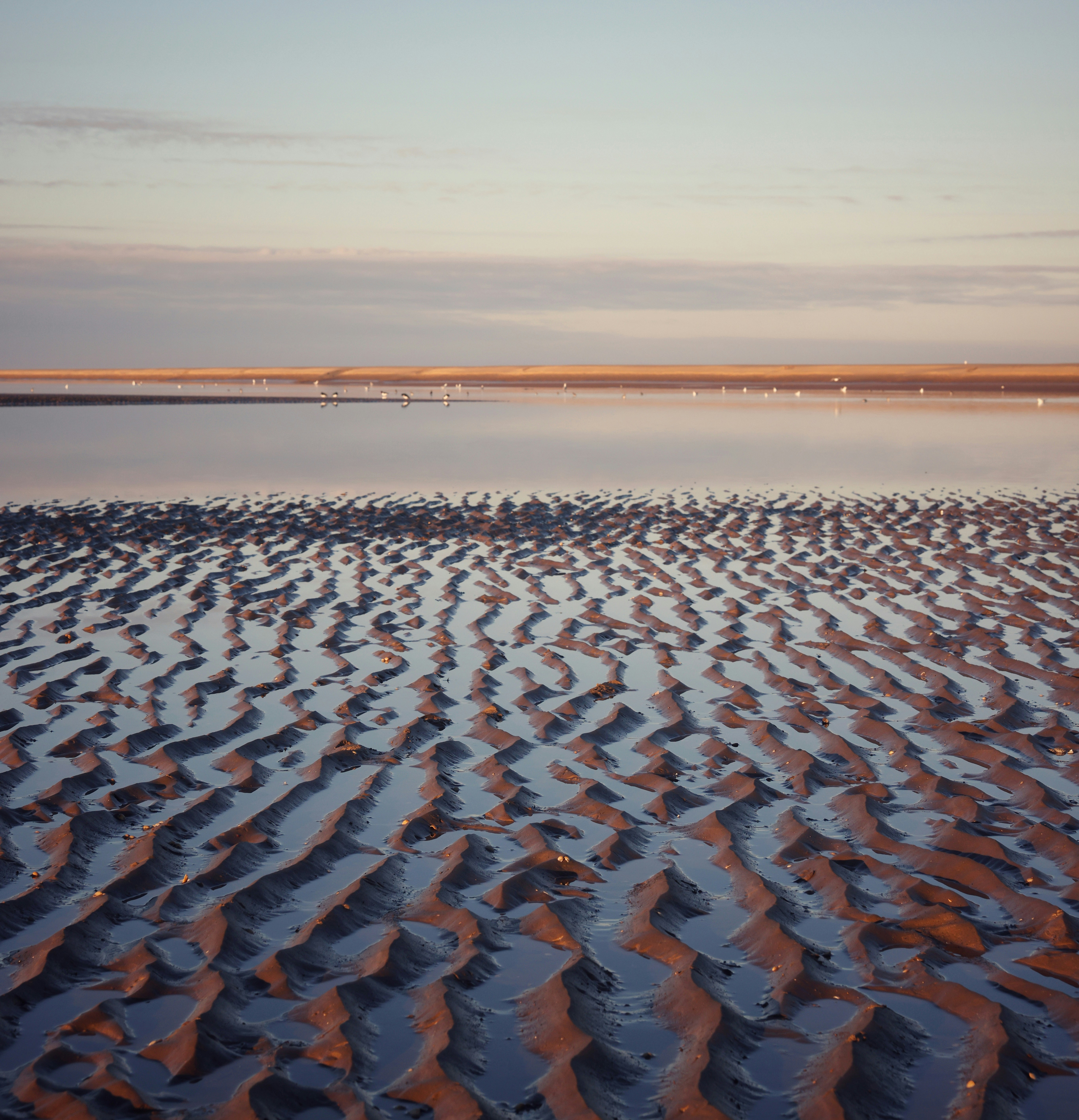 huge expanse of beach, very early on a winter's morning, UK | Rippled sand on a beach at sunset