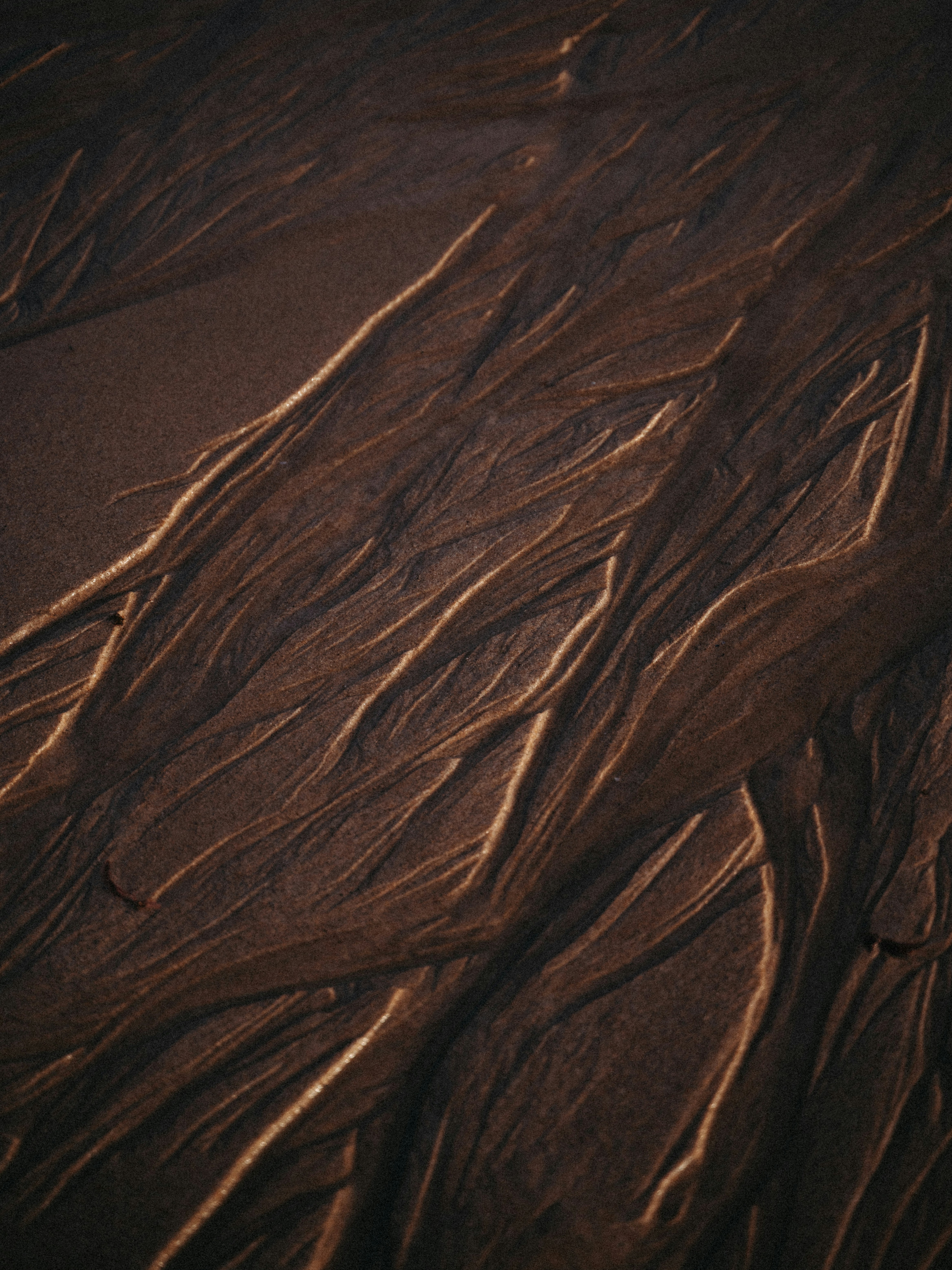 Close-up of textured brown and tan sand dunes