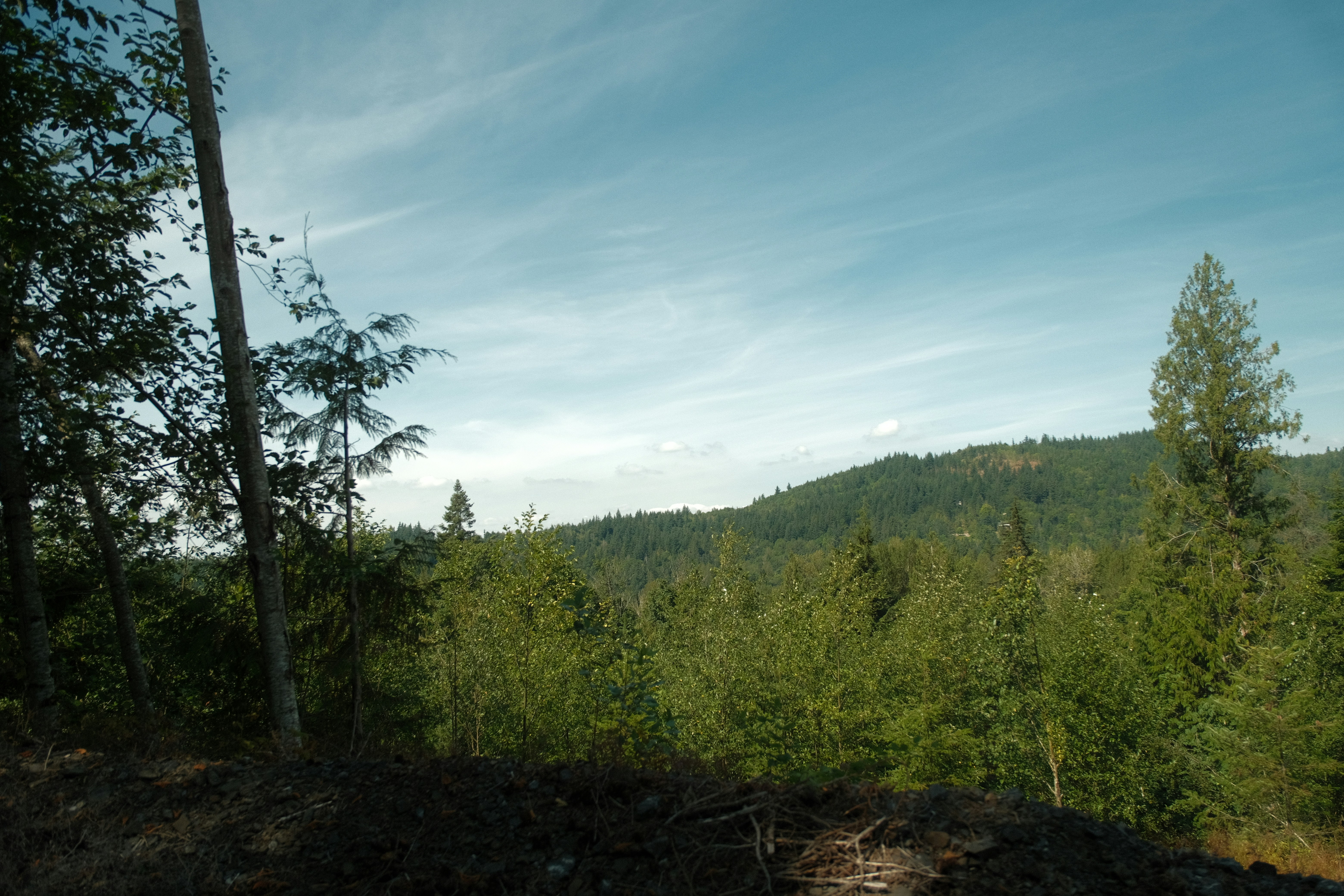 Green forested hills under a cloudy blue sky