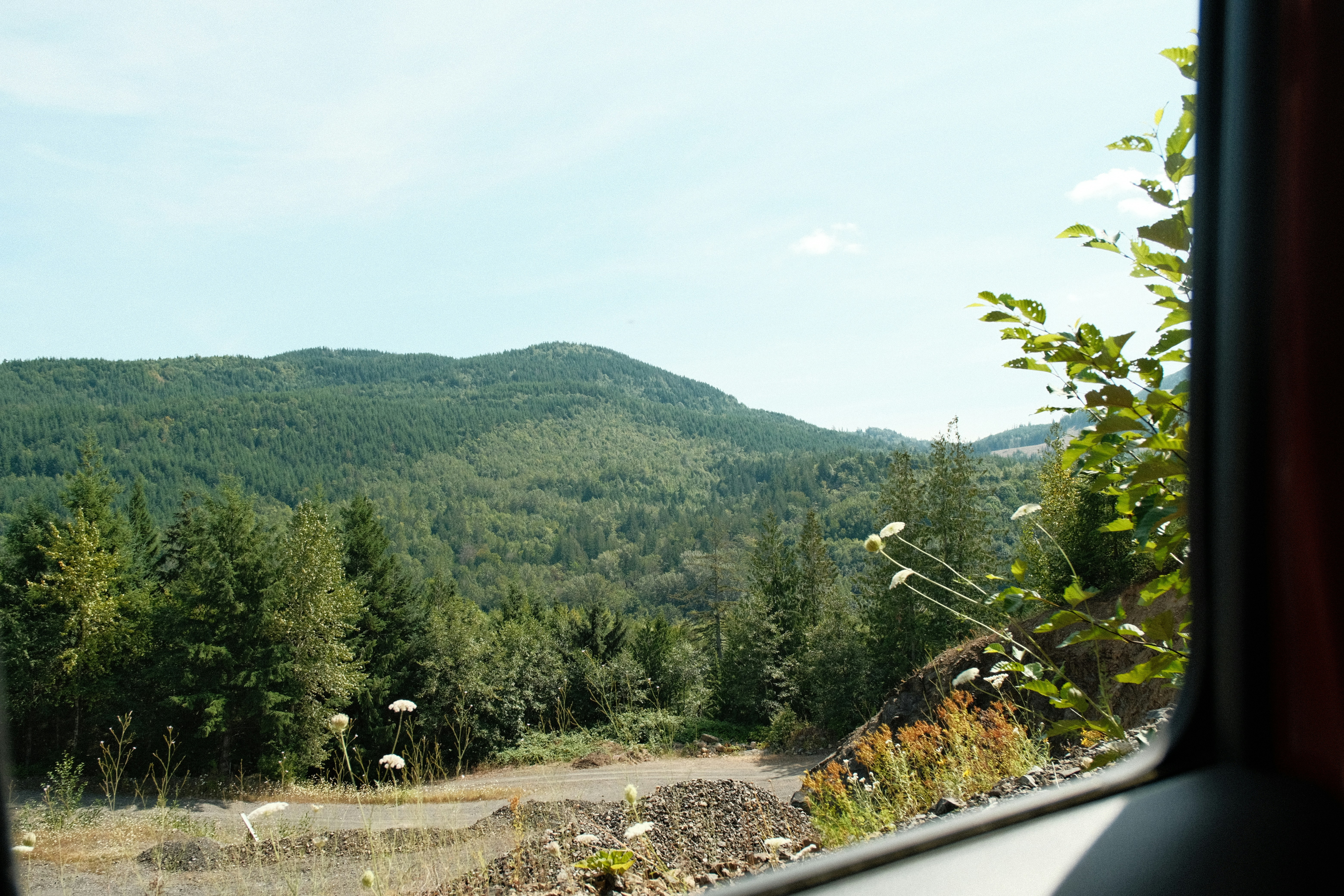 Lush green mountains framed by a vehicle window, showcasing the serene beauty of the outdoors. Wildflowers peek through the foreground.