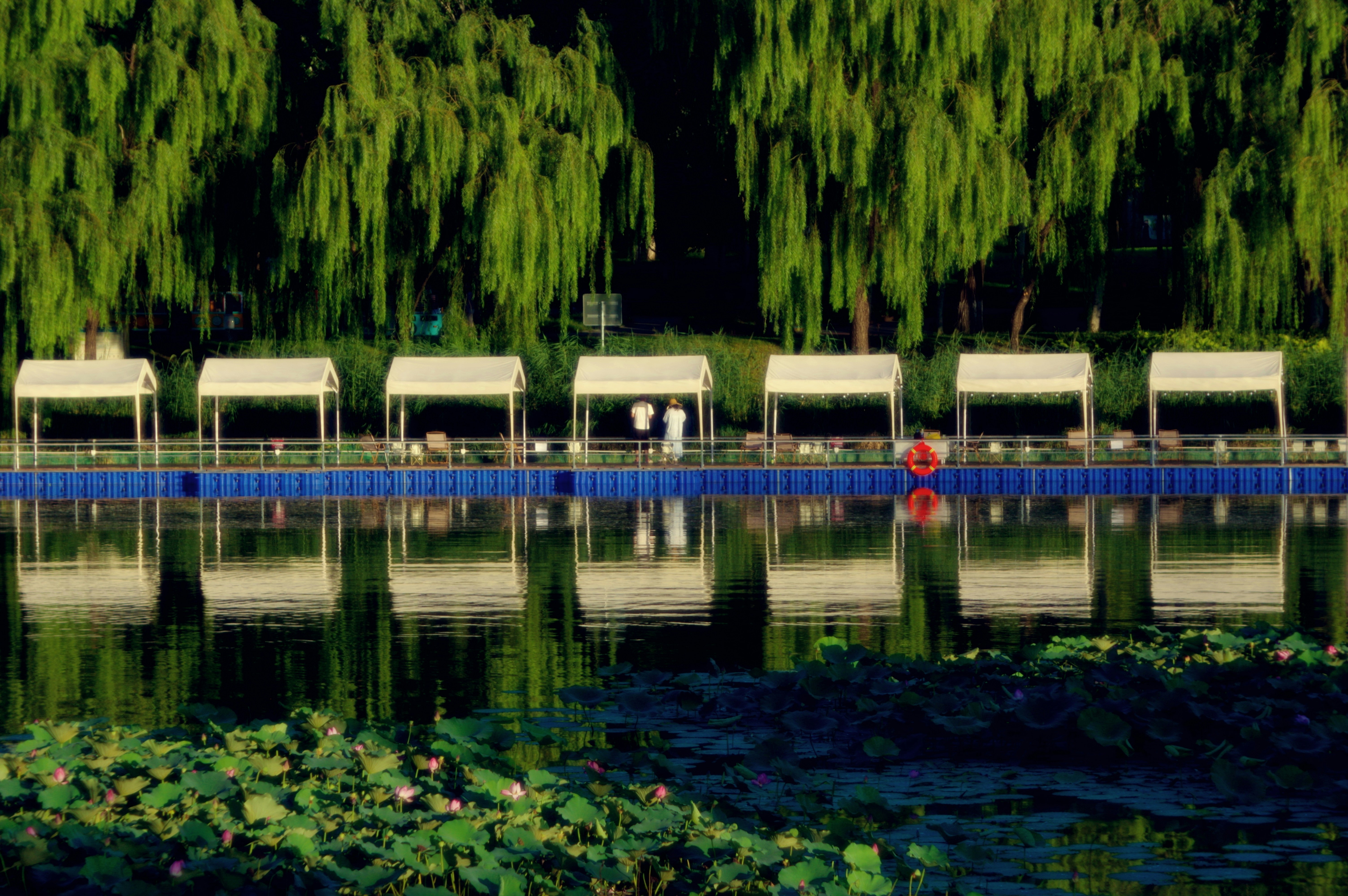 Reflections of Serenity: A Lakeside Retreat