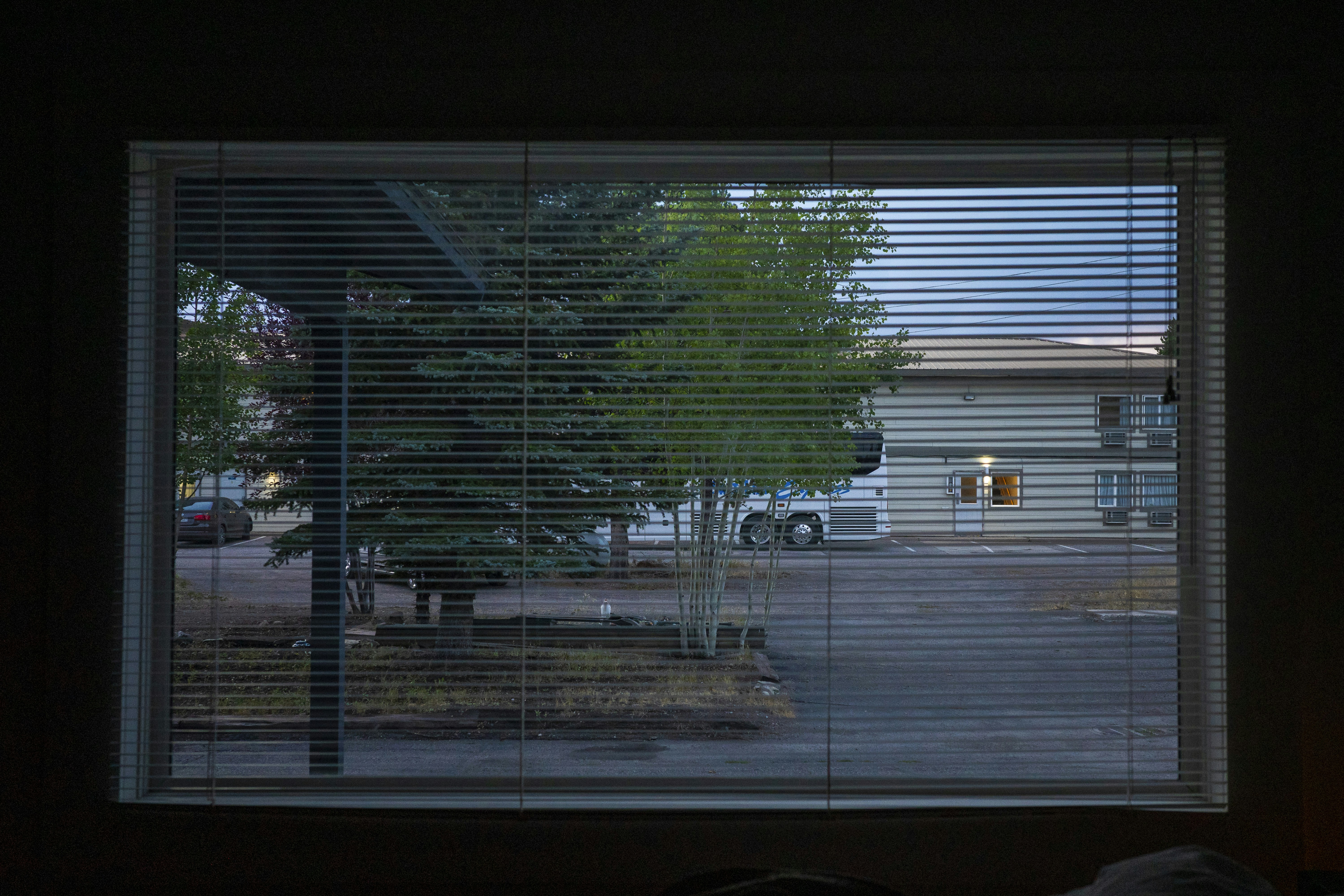 View through blinds of a building and trees
