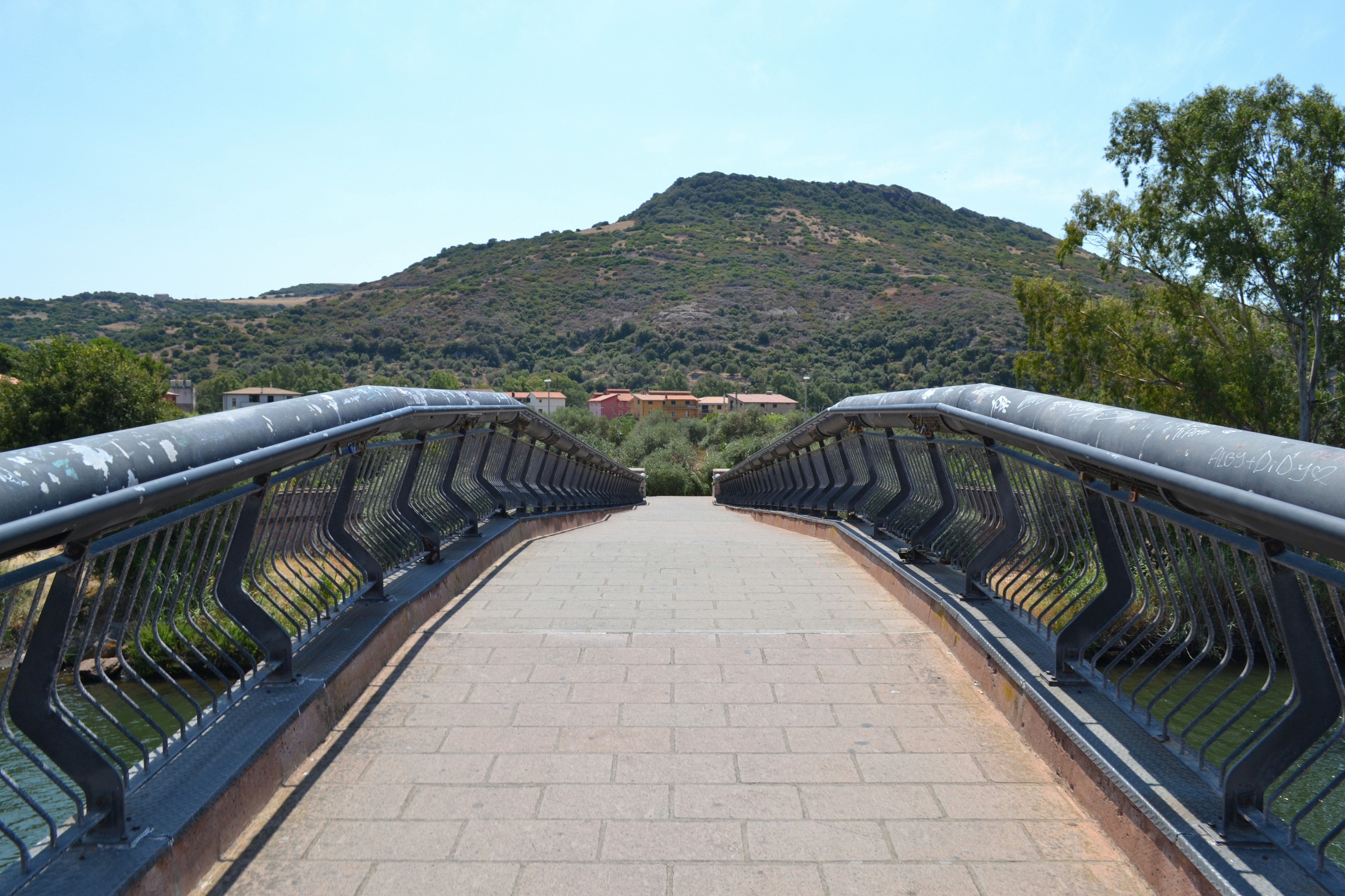 Pathway to Nature's Embrace