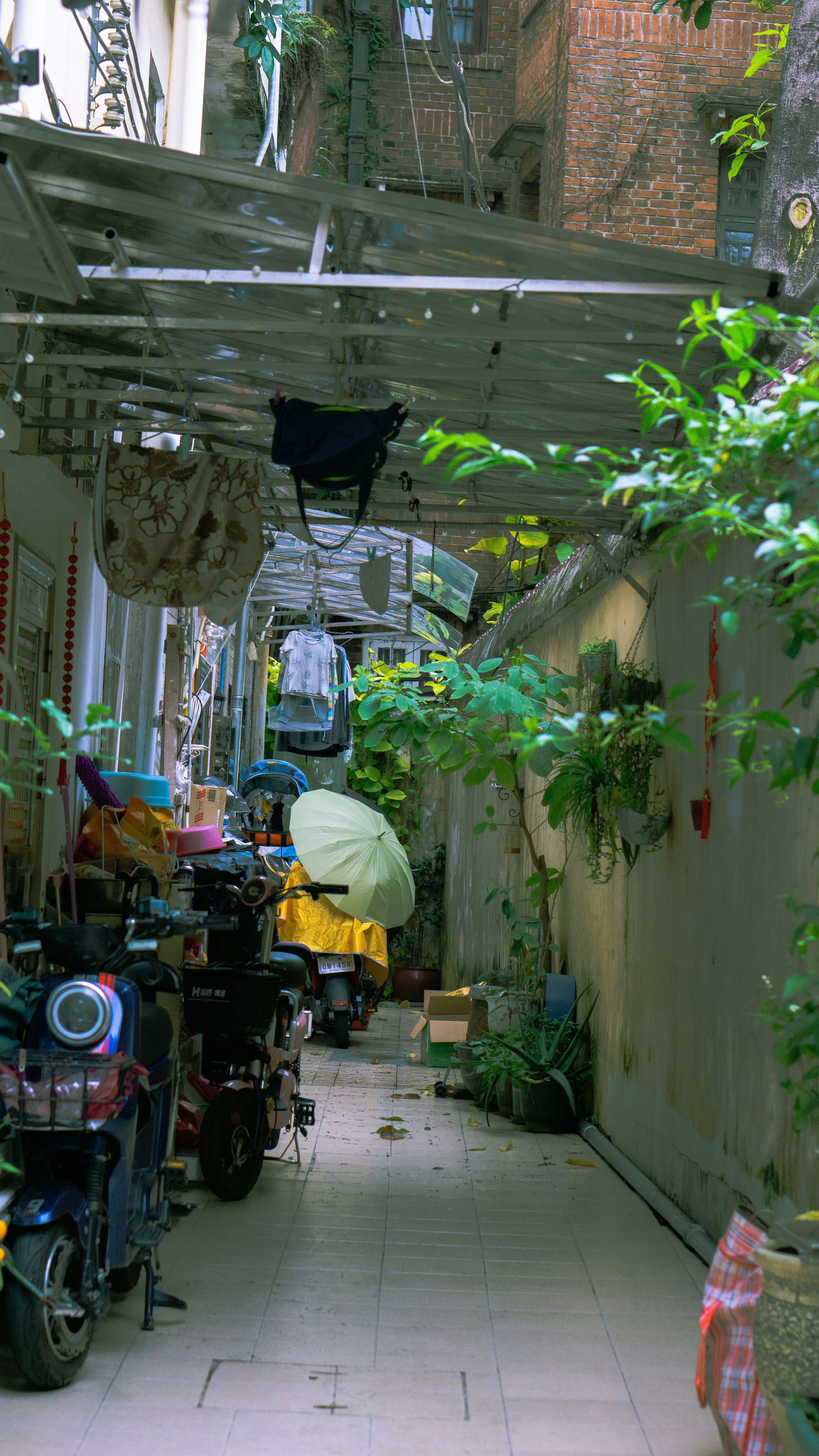 Urban Oasis: A Hidden Pathway of Life