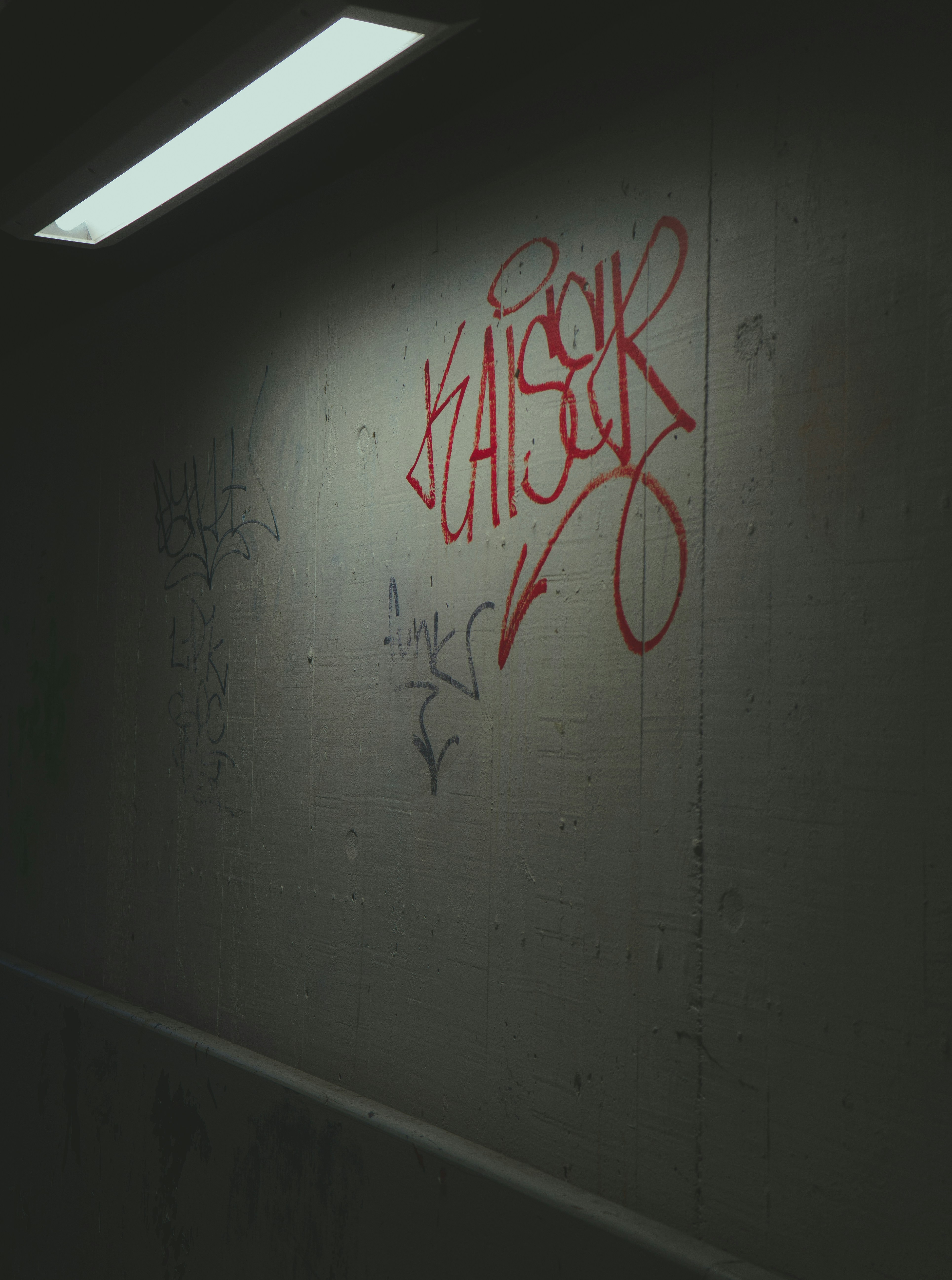 Urban Echoes: The Voice of Graffiti