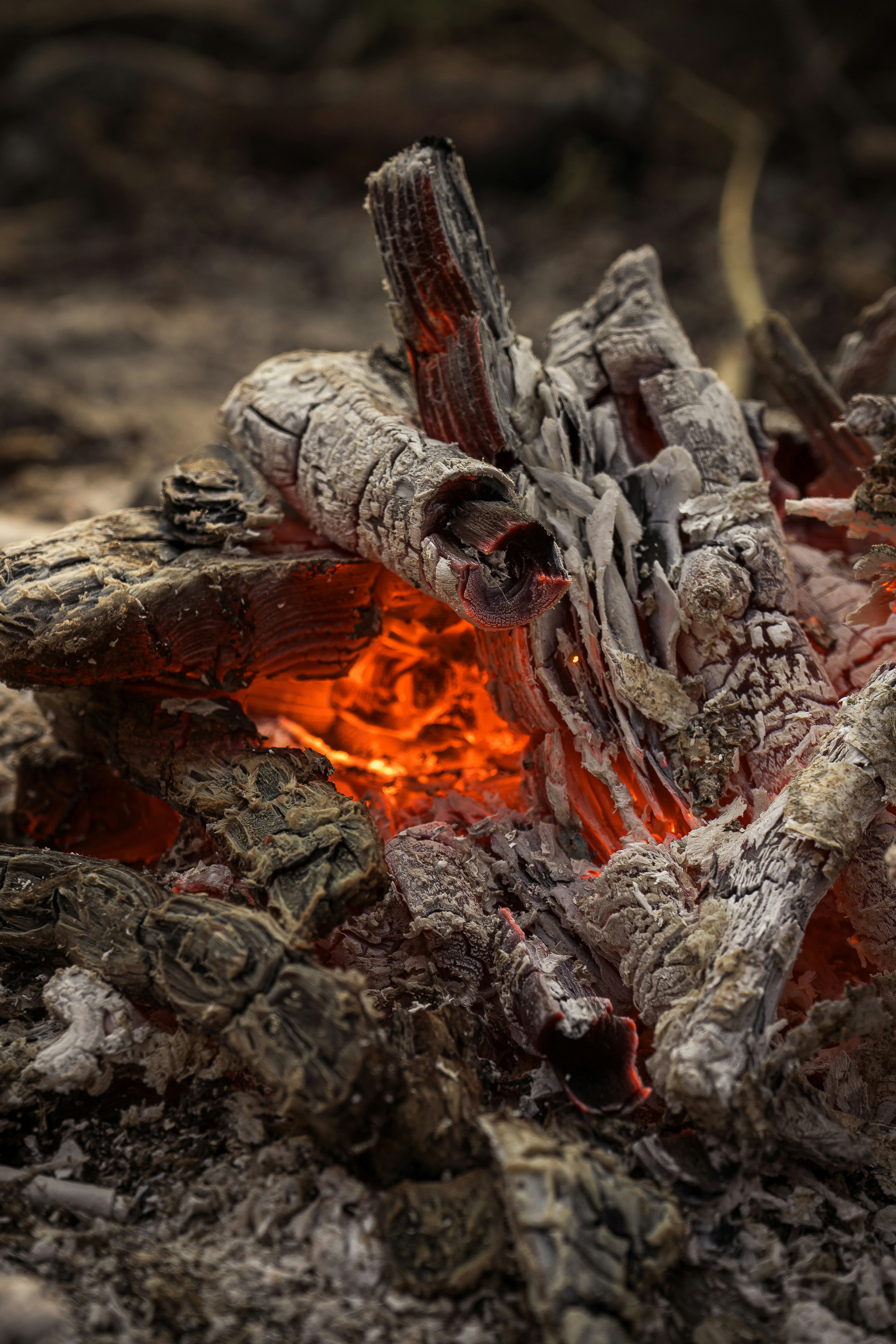 Glowing embers and charred wood in a campfire.