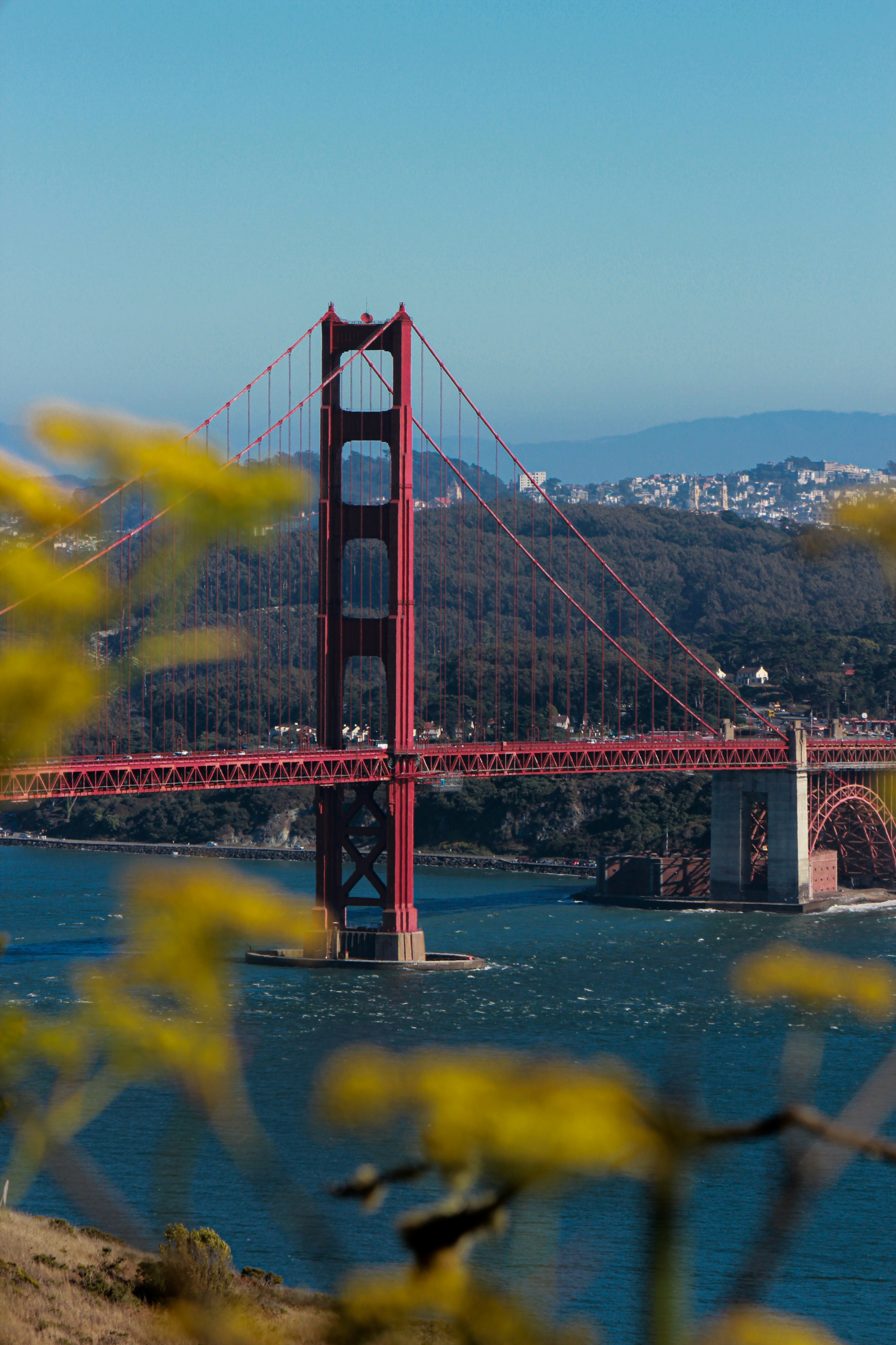 Bridging Horizons: A Glimpse of the Golden Gate