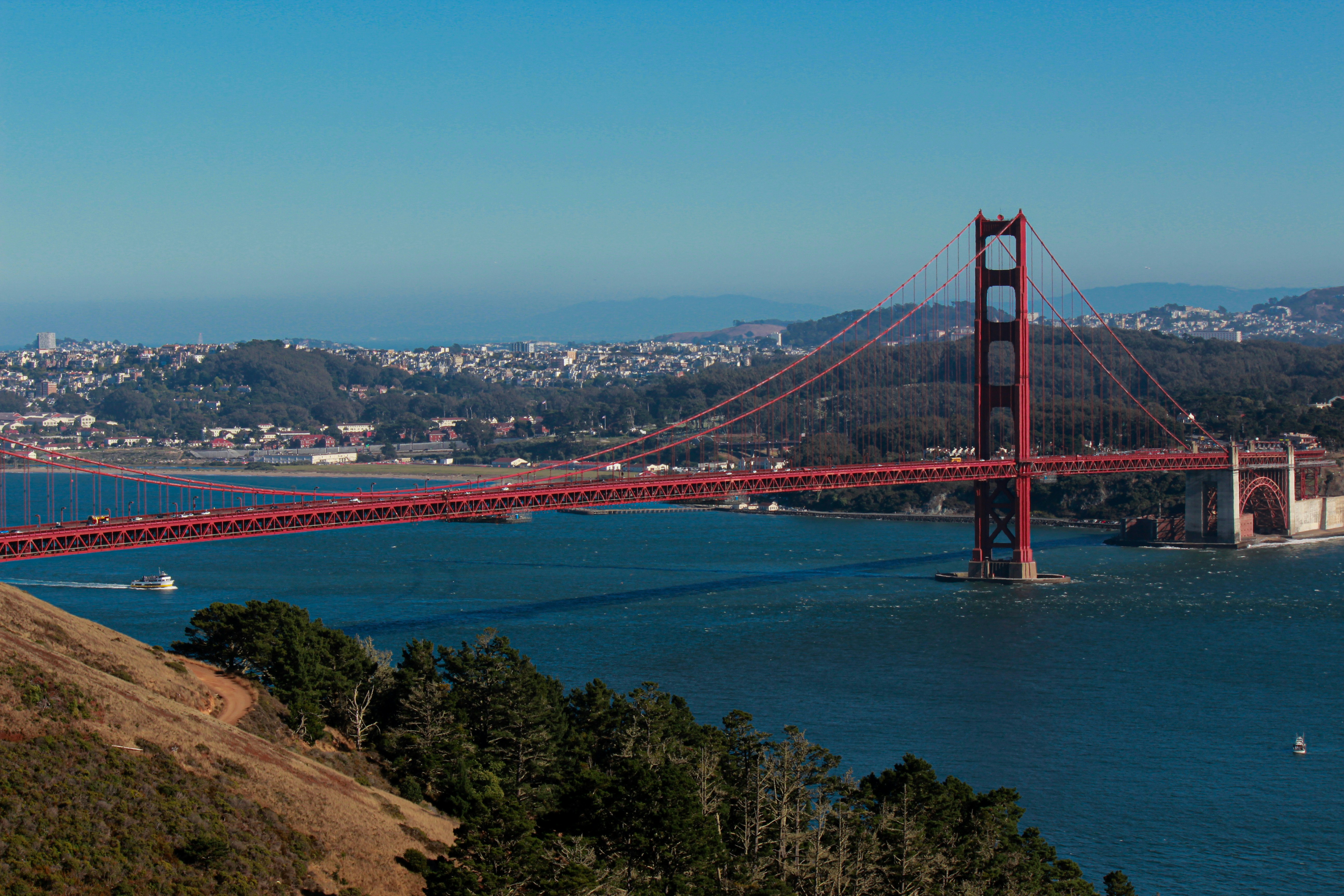 Golden Gate Bridge arching gracefully over the bay, with lush greenery in the foreground and a backdrop of urban landscape. 